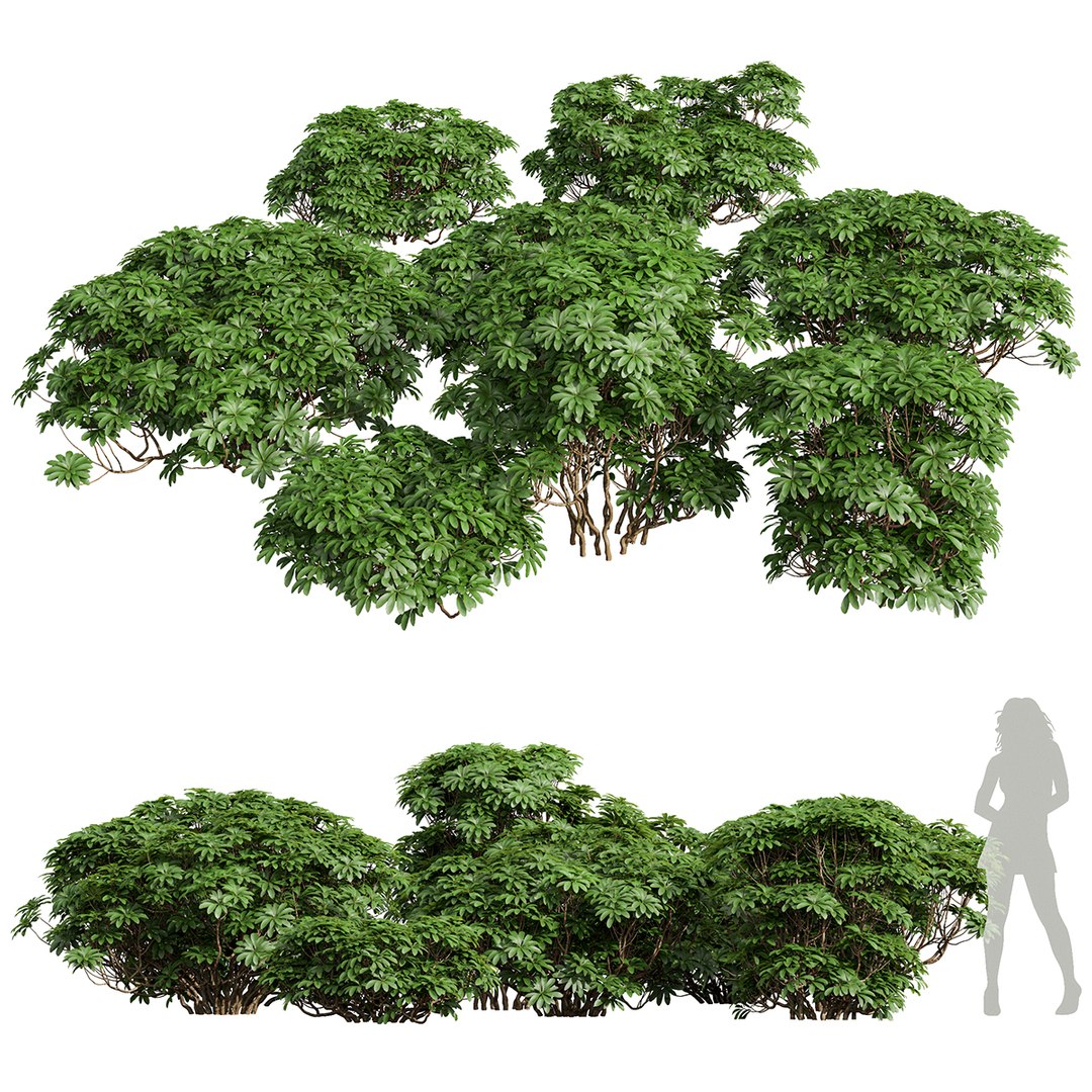 Different SETS Of Bush Set Vol 26 3D Model - TurboSquid 2186748