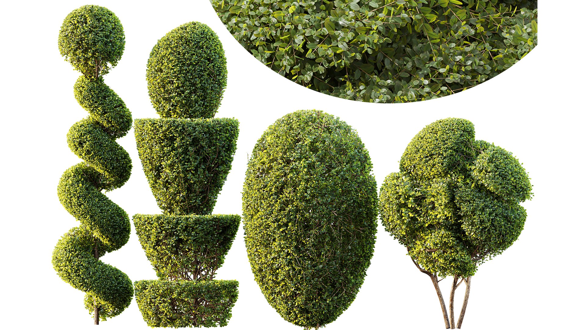 Different SETS Of Bush Set Vol 26 3D Model - TurboSquid 2186748