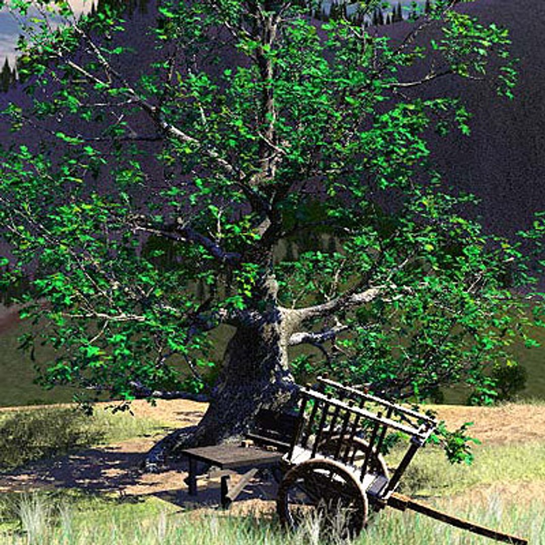 3d Model Black Old Tree