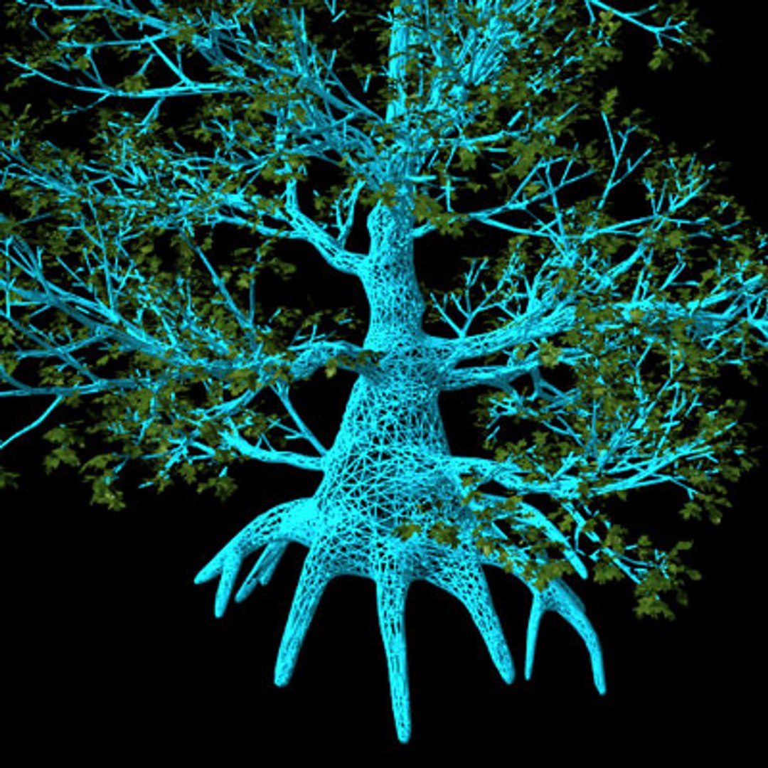 3d Model Black Old Tree