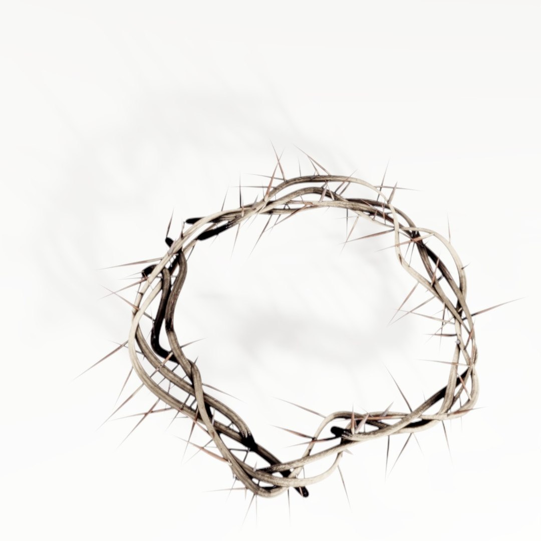 Crown Thorns Model - TurboSquid 1621874