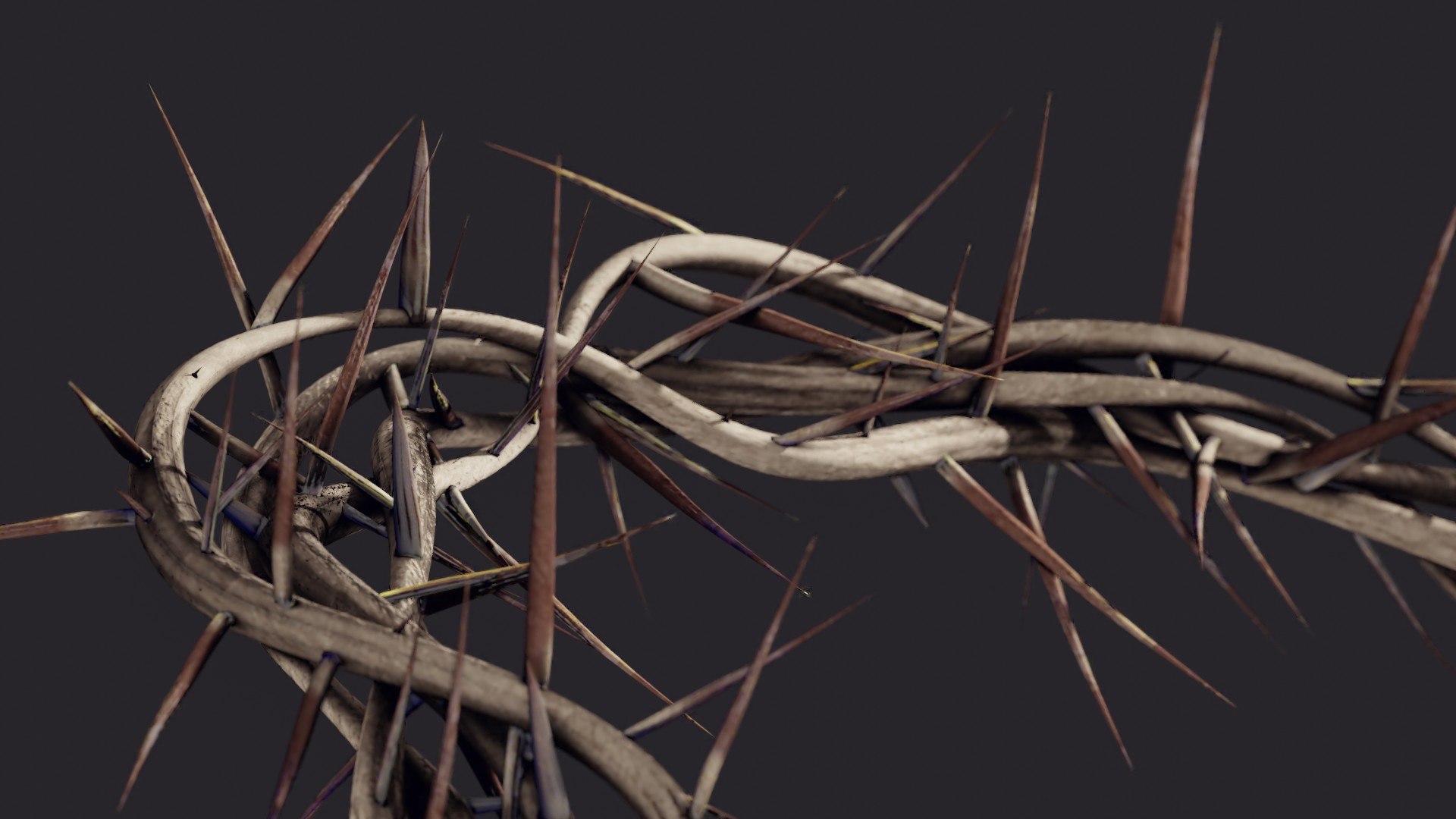 Crown Thorns Model - TurboSquid 1621874
