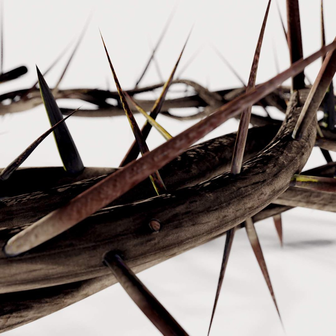 Crown Thorns Model - TurboSquid 1621874