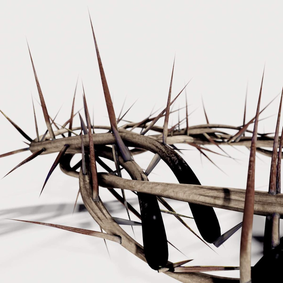 Crown Thorns Model - TurboSquid 1621874