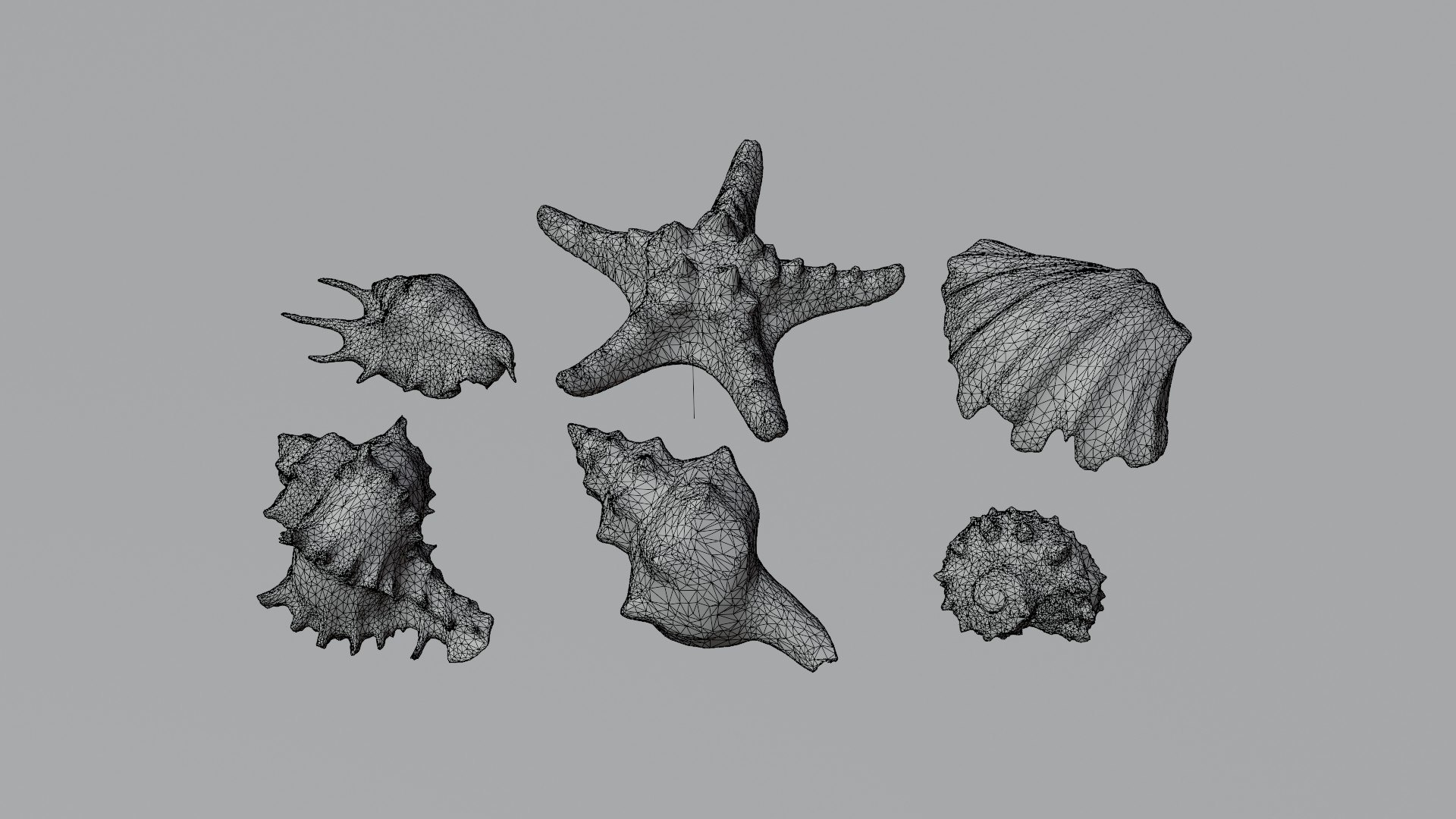 3D Seashell Collection Lowpoly - TurboSquid 1885624