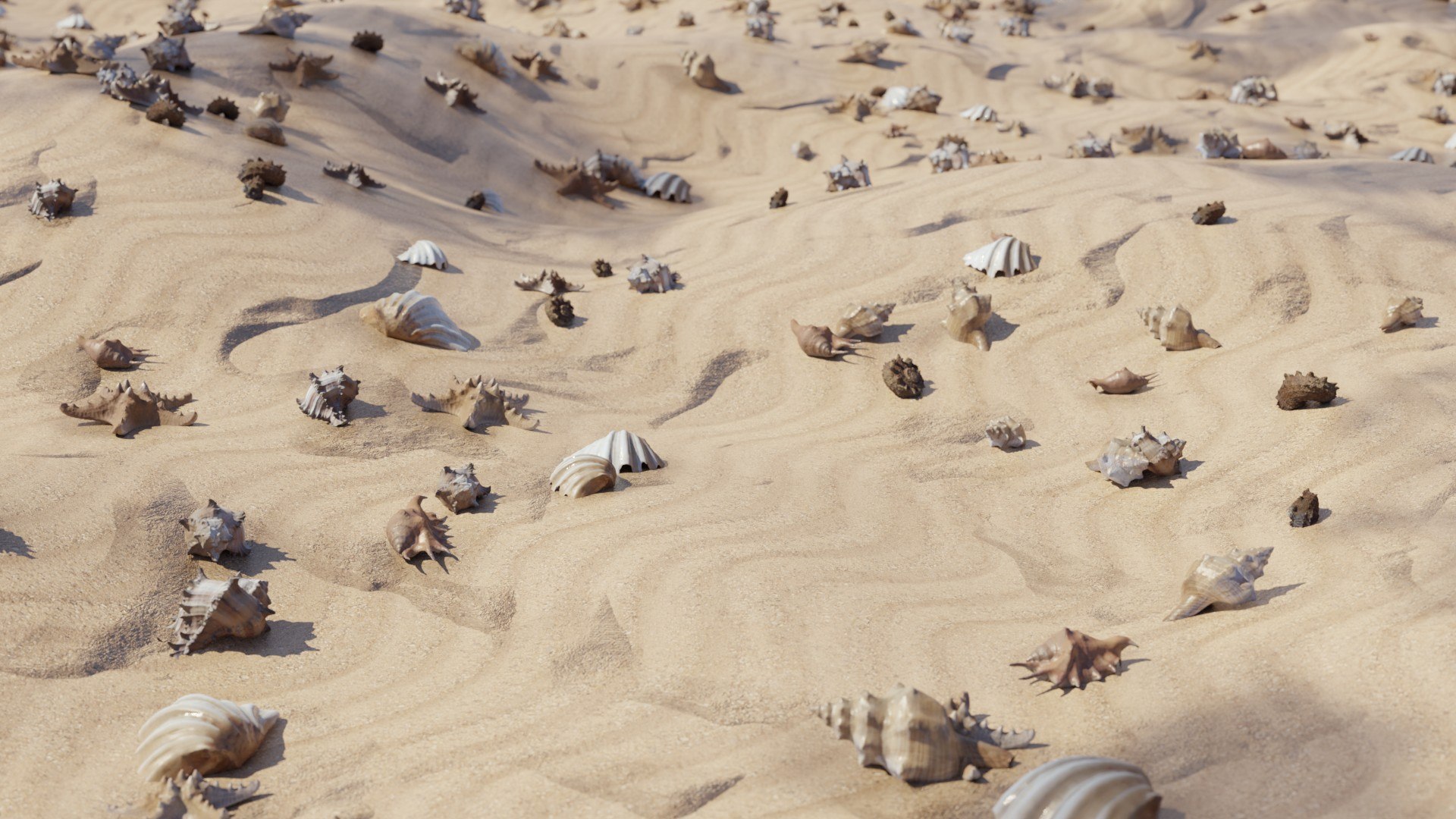 3D Seashell Collection Lowpoly - TurboSquid 1885624