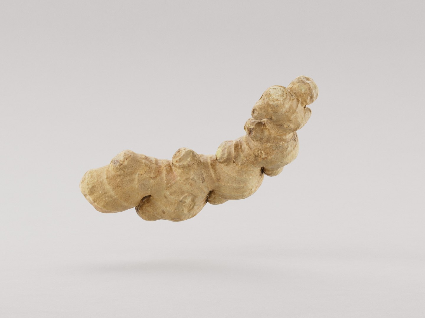 Ginger 3d Model 3D Model - TurboSquid 2170471