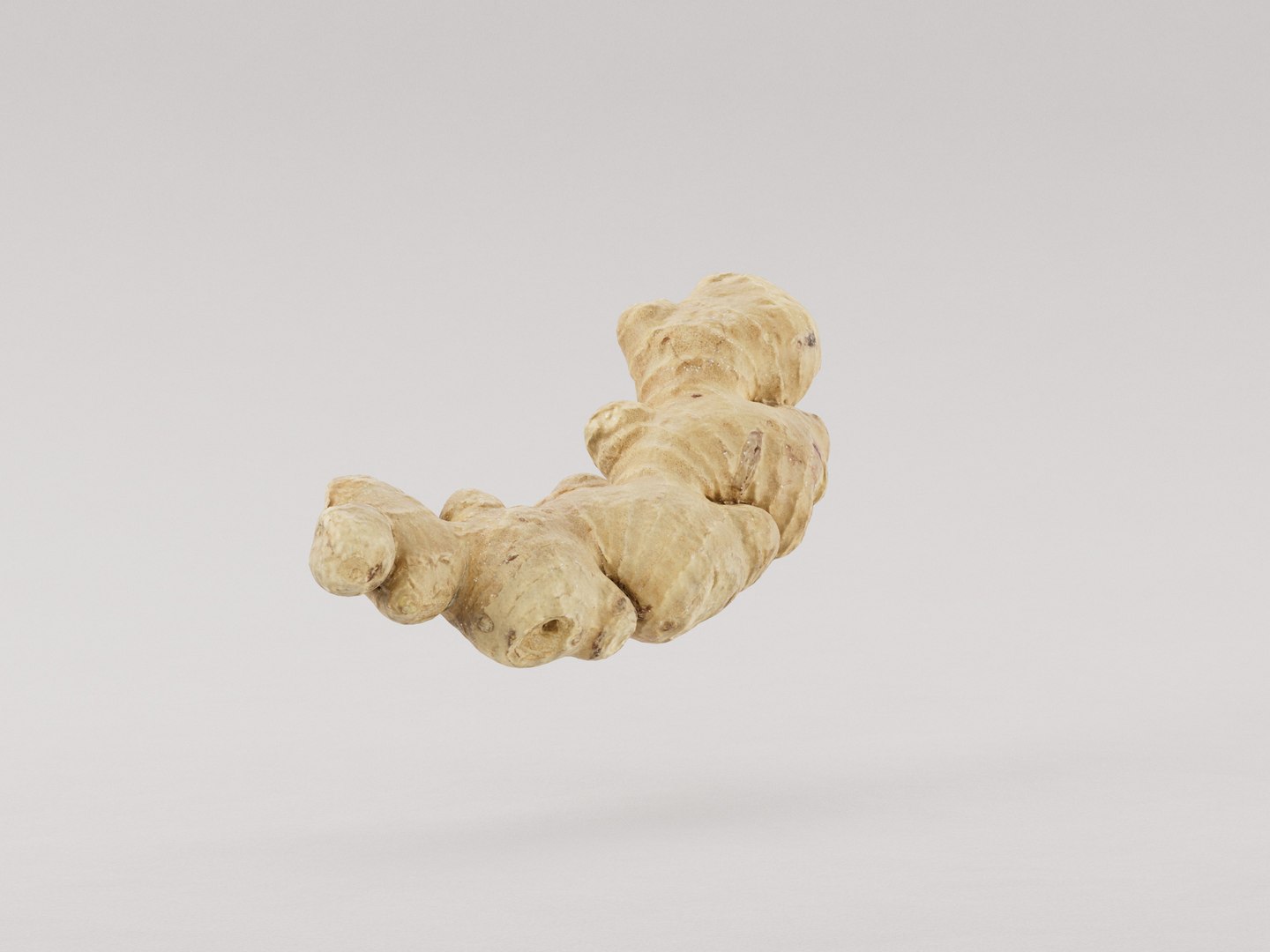 Ginger 3d Model 3D Model - TurboSquid 2170471