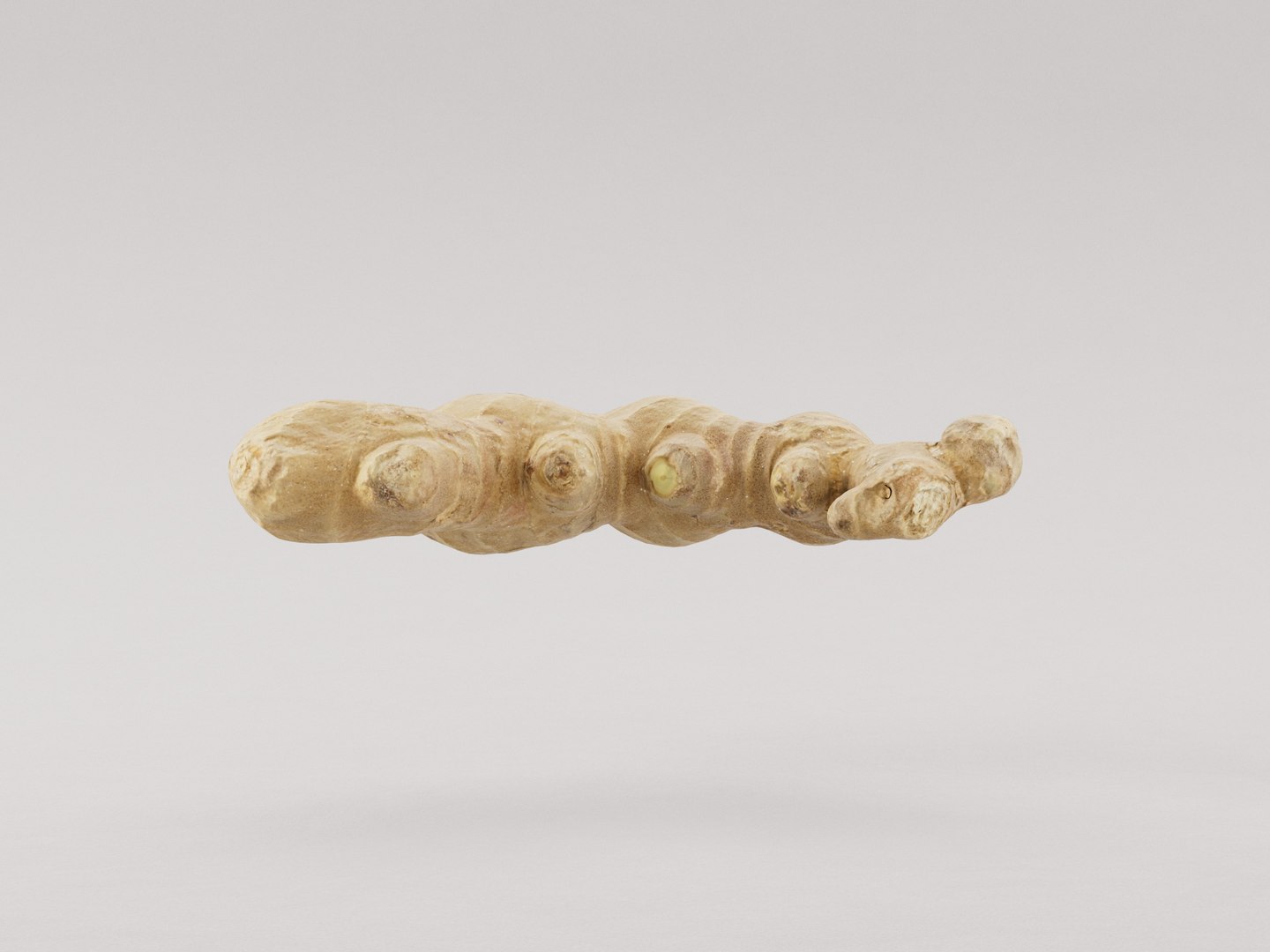 Ginger 3d Model 3D Model - TurboSquid 2170471