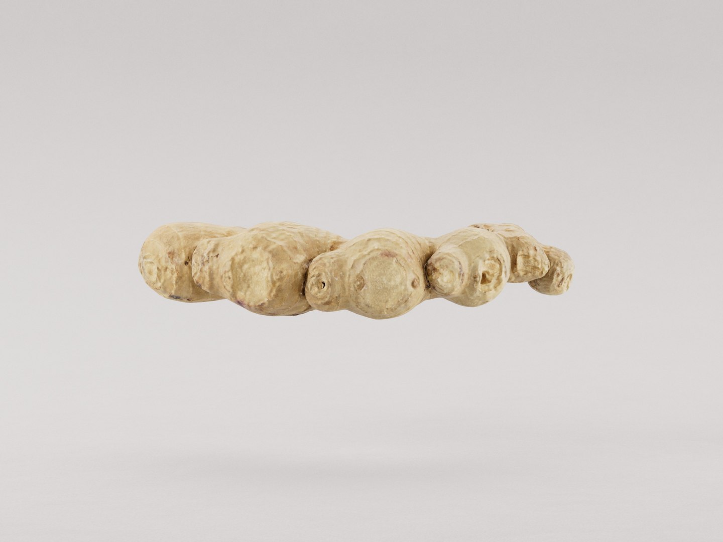 Ginger 3d Model 3D Model - TurboSquid 2170471