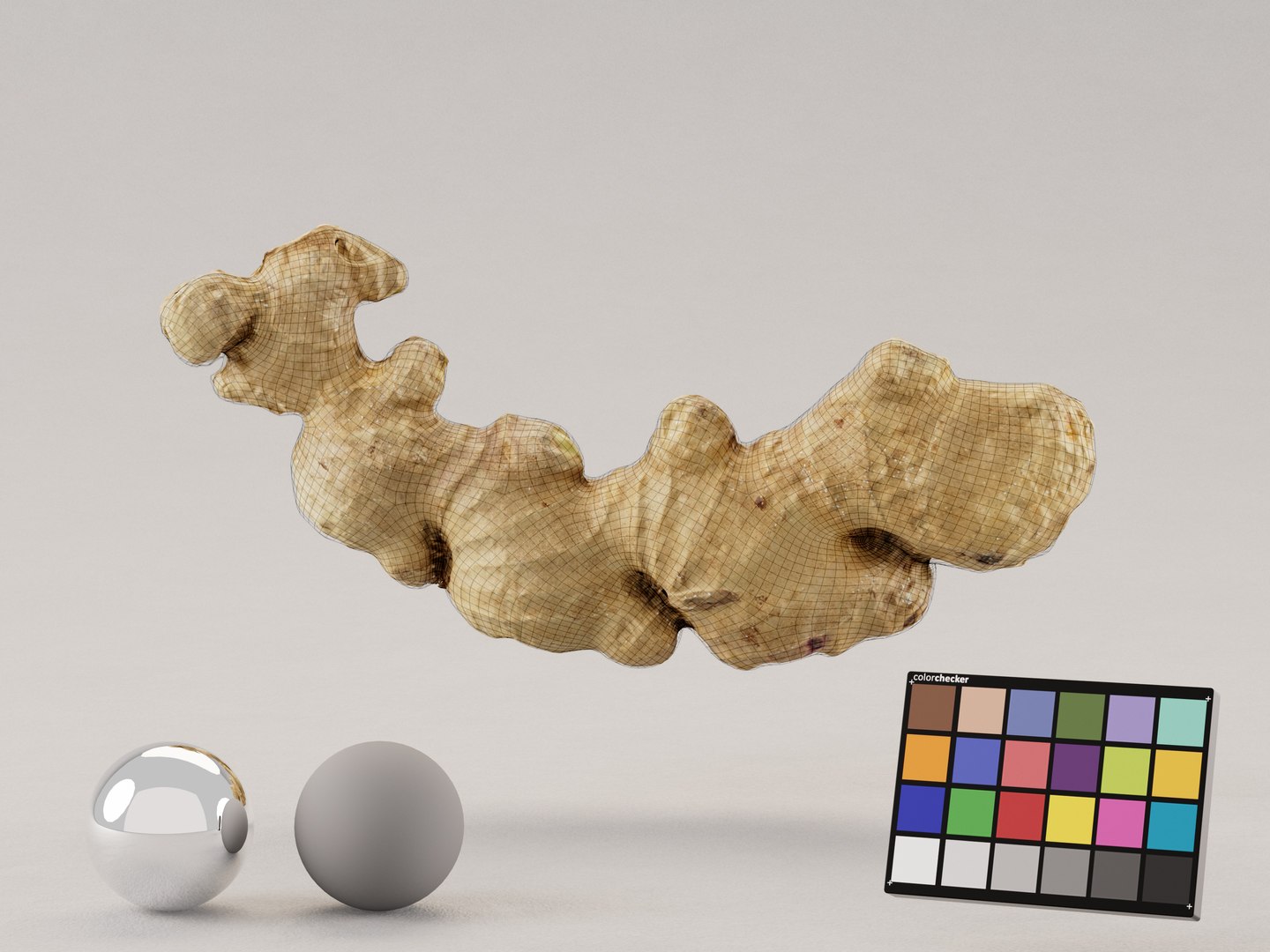 Ginger 3d model 3D model - TurboSquid 2170471