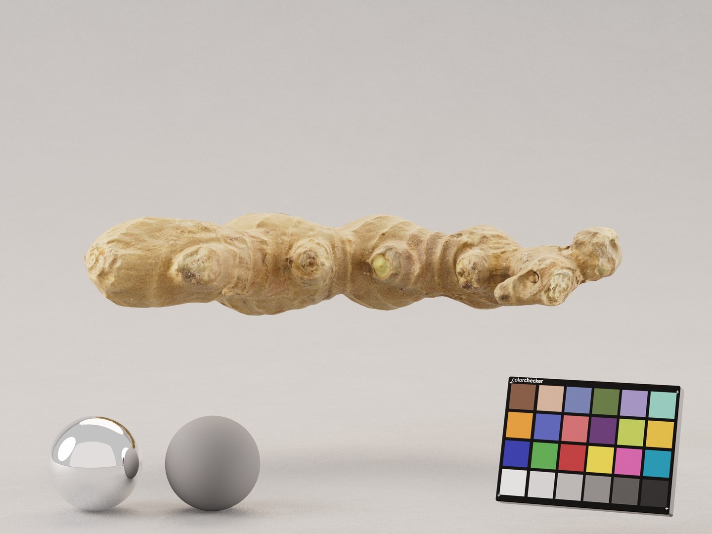 Ginger 3d model 3D model - TurboSquid 2170471