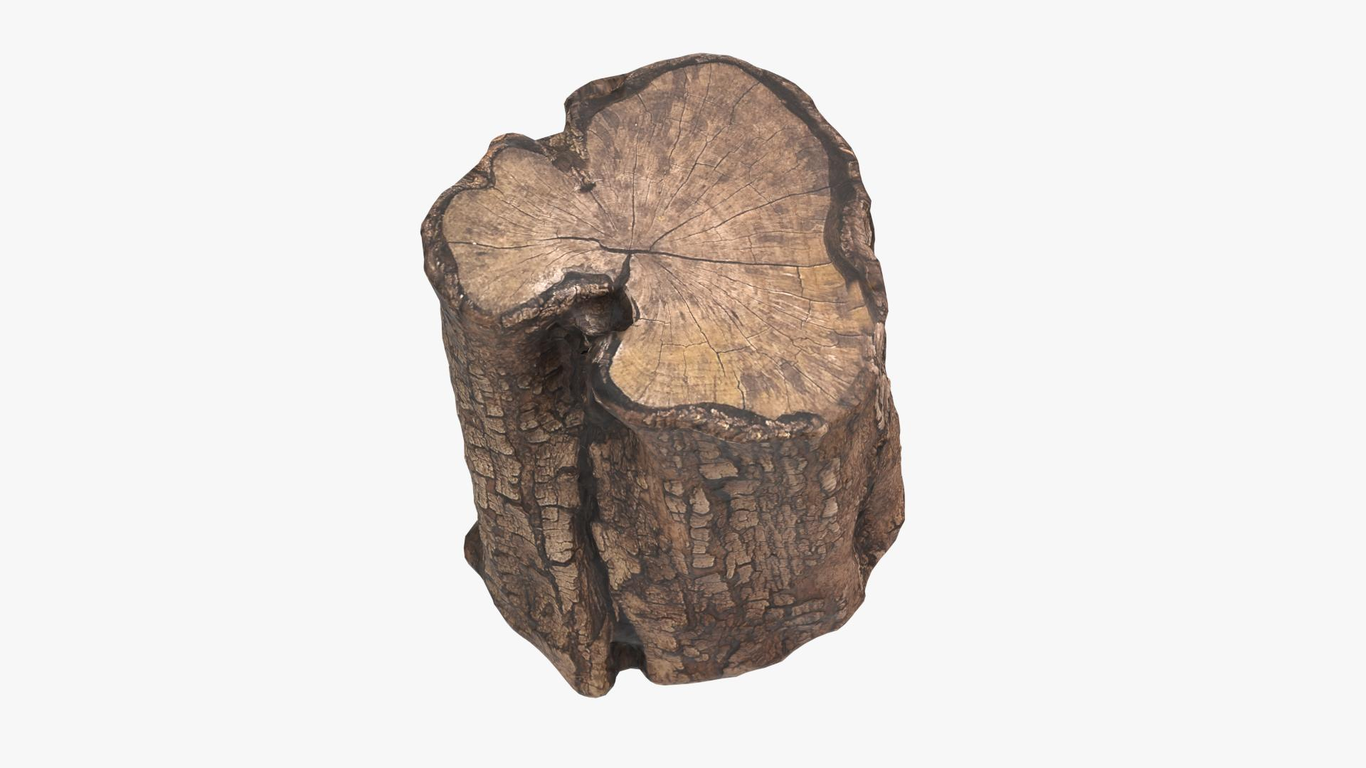 3D Wood Log 1 Model - TurboSquid 2398358