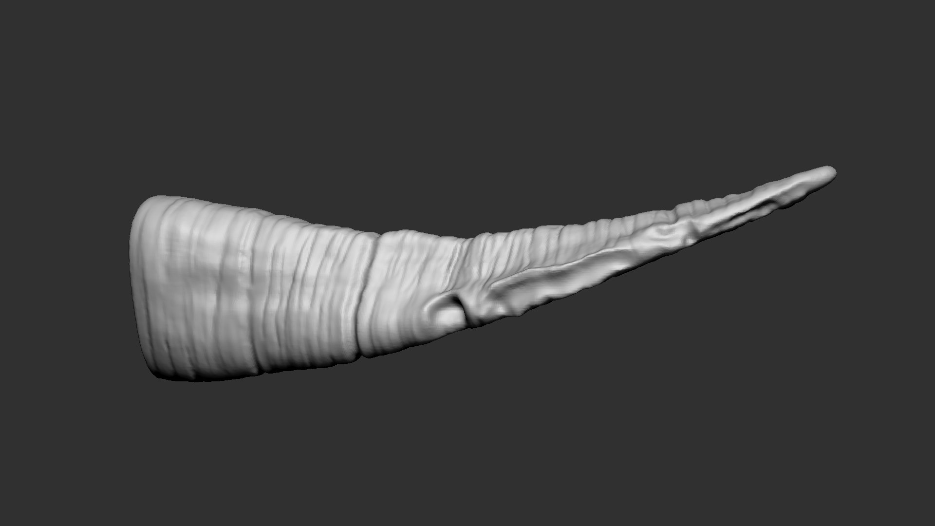3D Goat Horns - TurboSquid 1692653