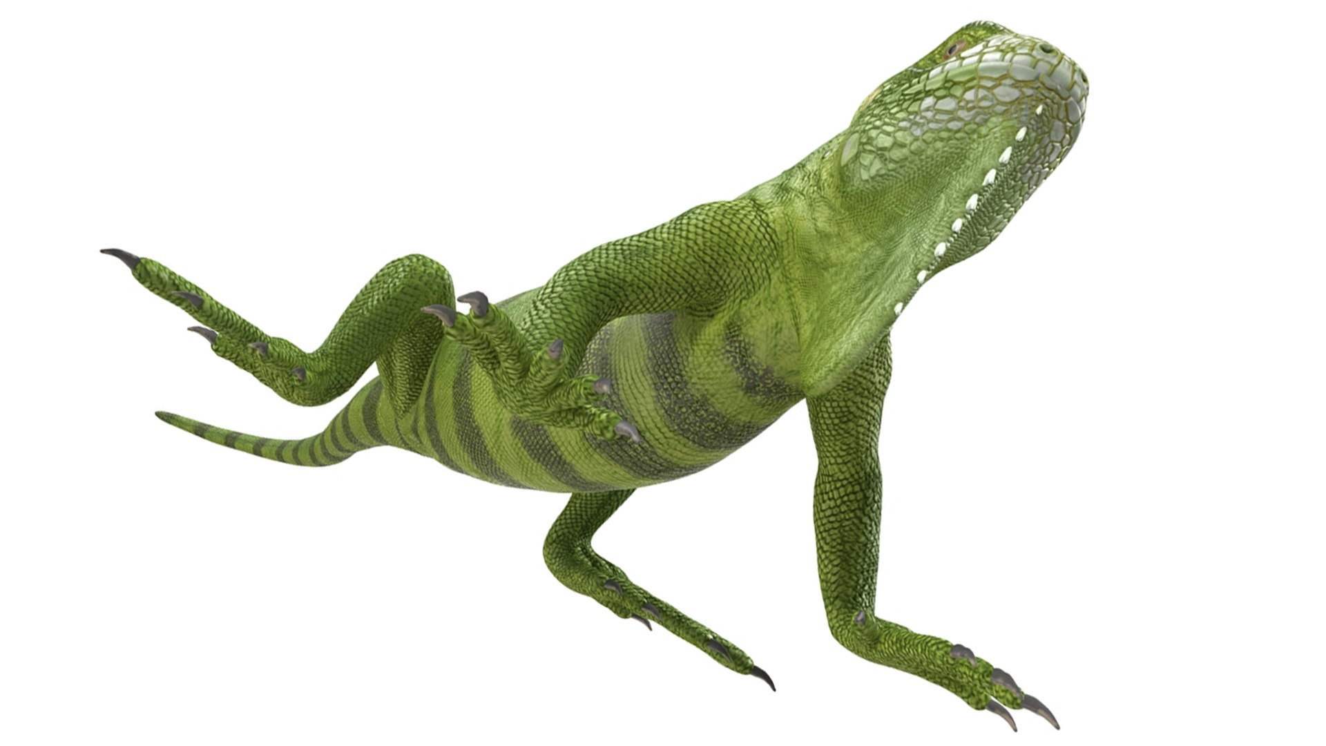 Iguana Reptile Creature Rigged 3D Model - TurboSquid 2335683