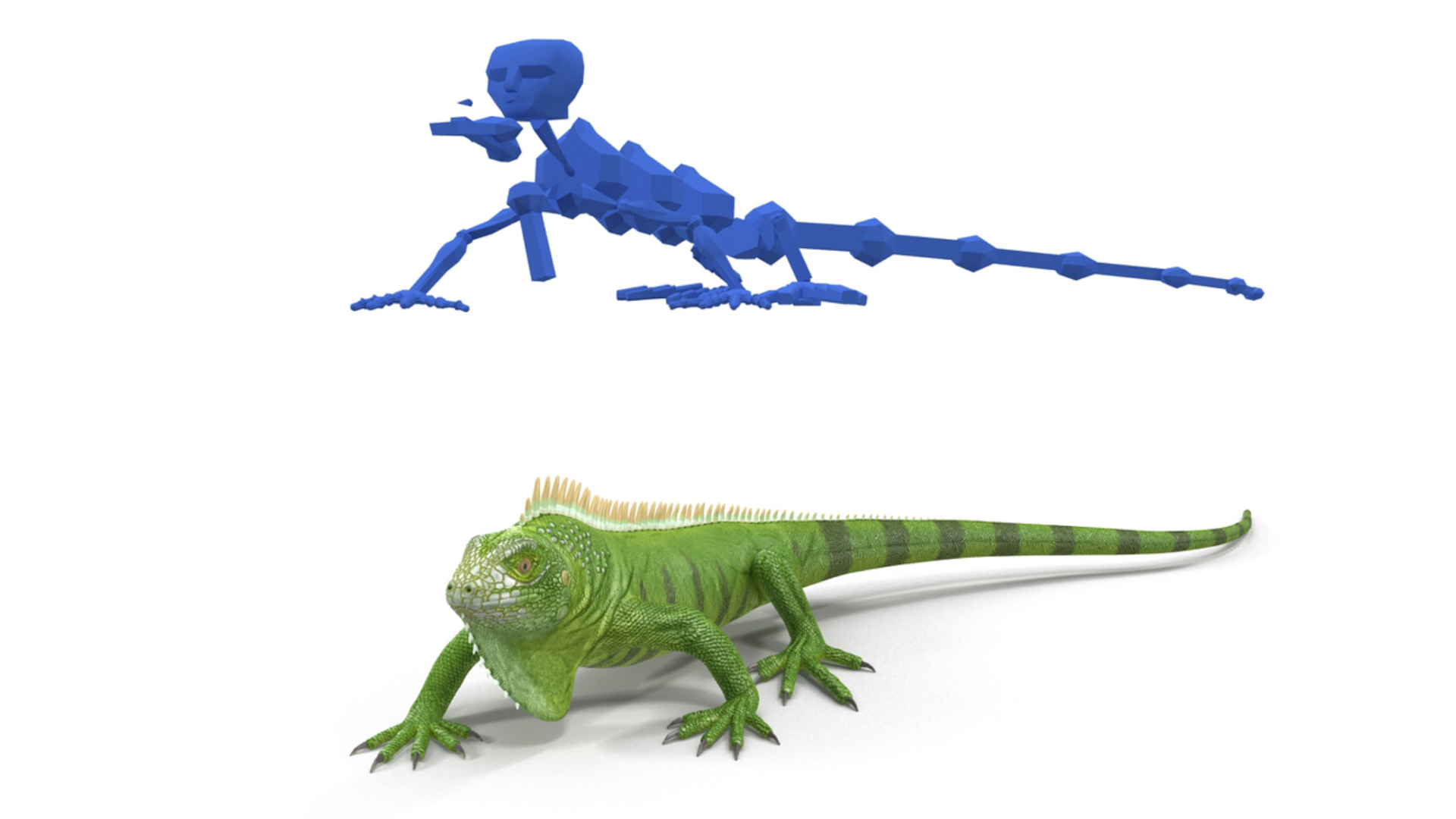 Iguana Reptile Creature Rigged 3D Model - TurboSquid 2335683