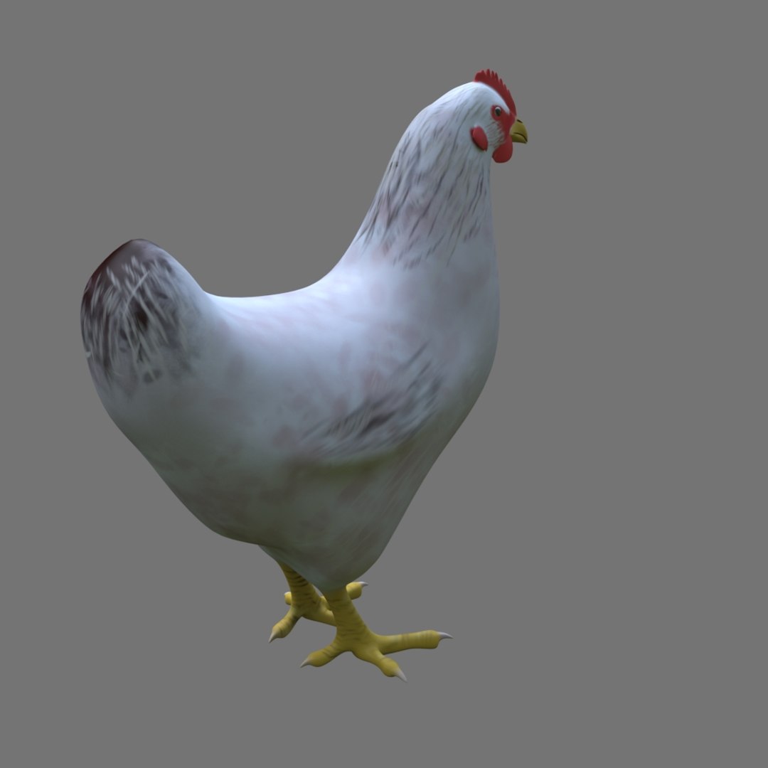 3d chicken