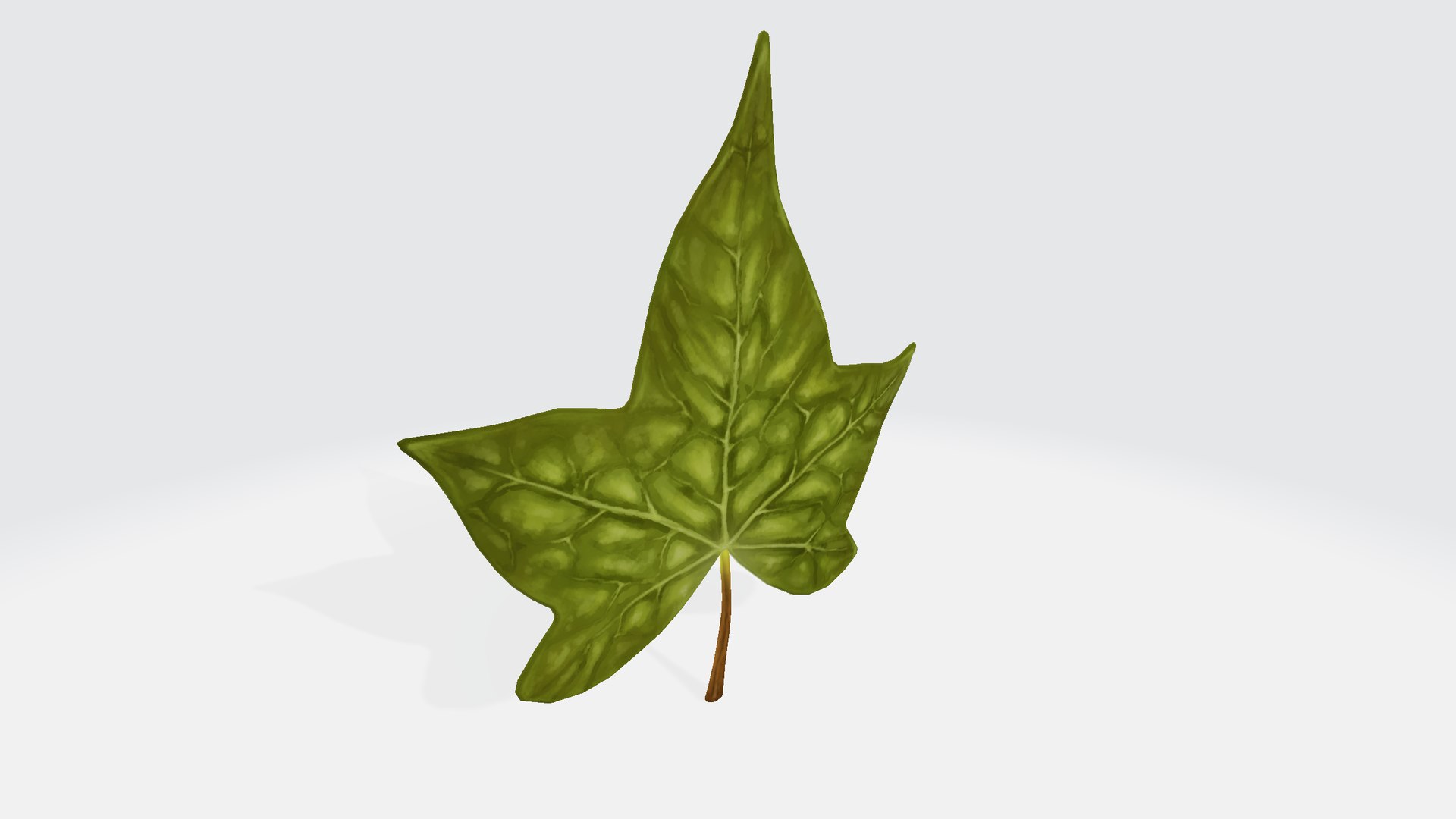 3D Ivy Leaf - TurboSquid 2365130