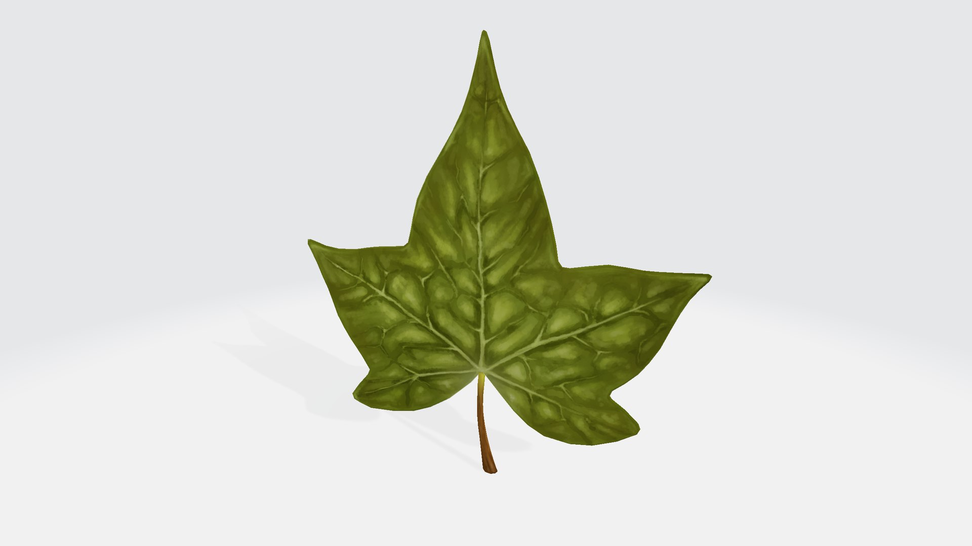 3D Ivy Leaf - TurboSquid 2365130