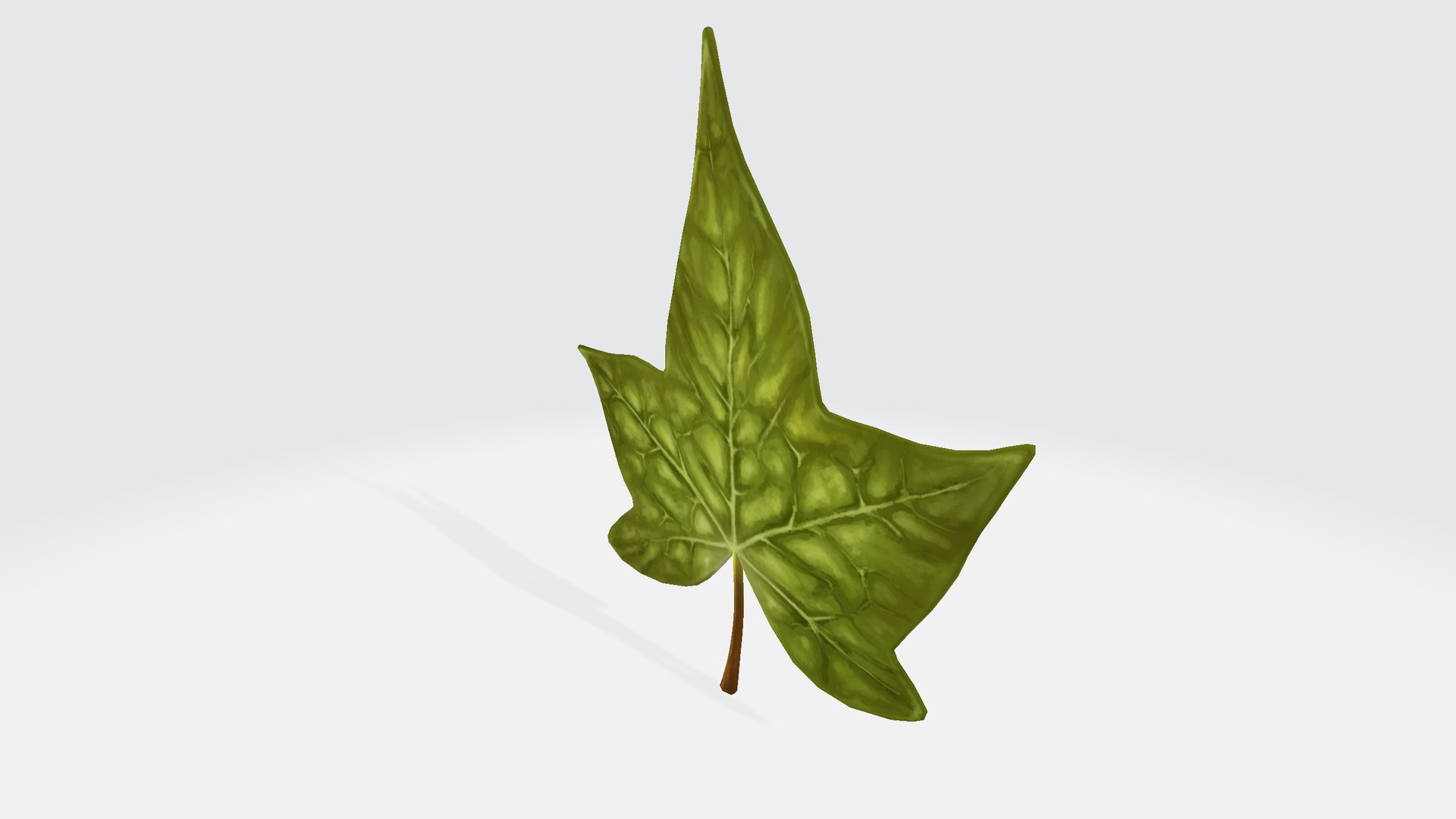 3D Ivy Leaf - TurboSquid 2365130