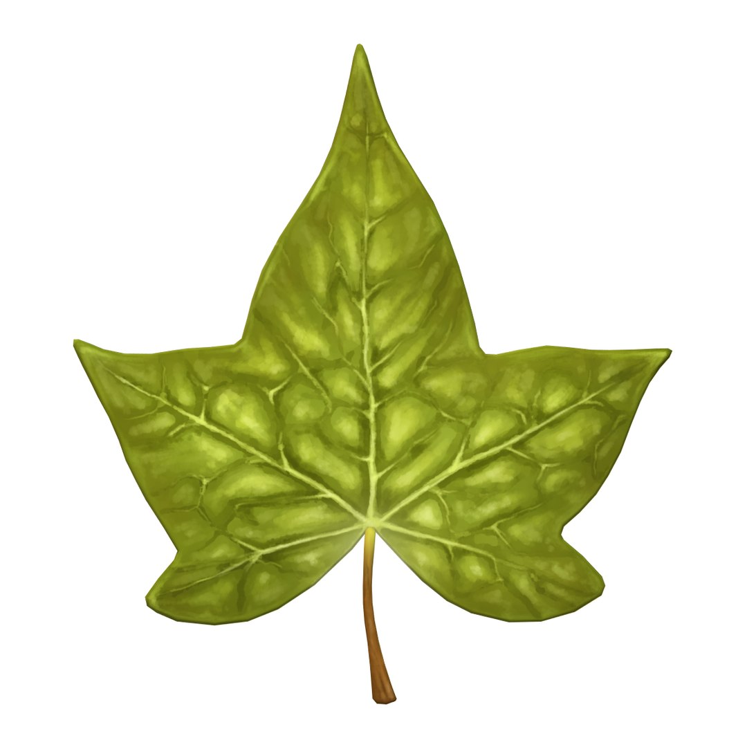 3D Ivy Leaf - TurboSquid 2365130