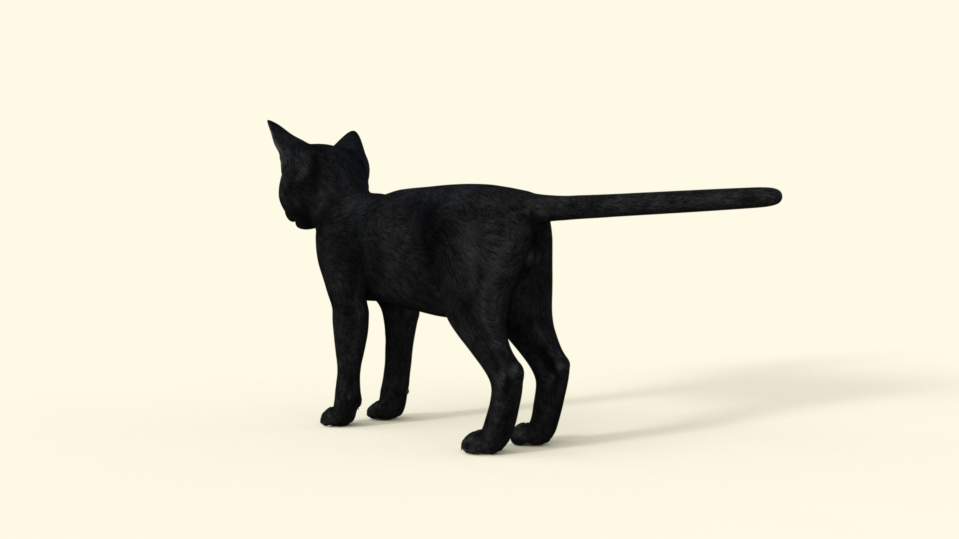Realistic Black Kitten Rigged 3D - TurboSquid 2209285