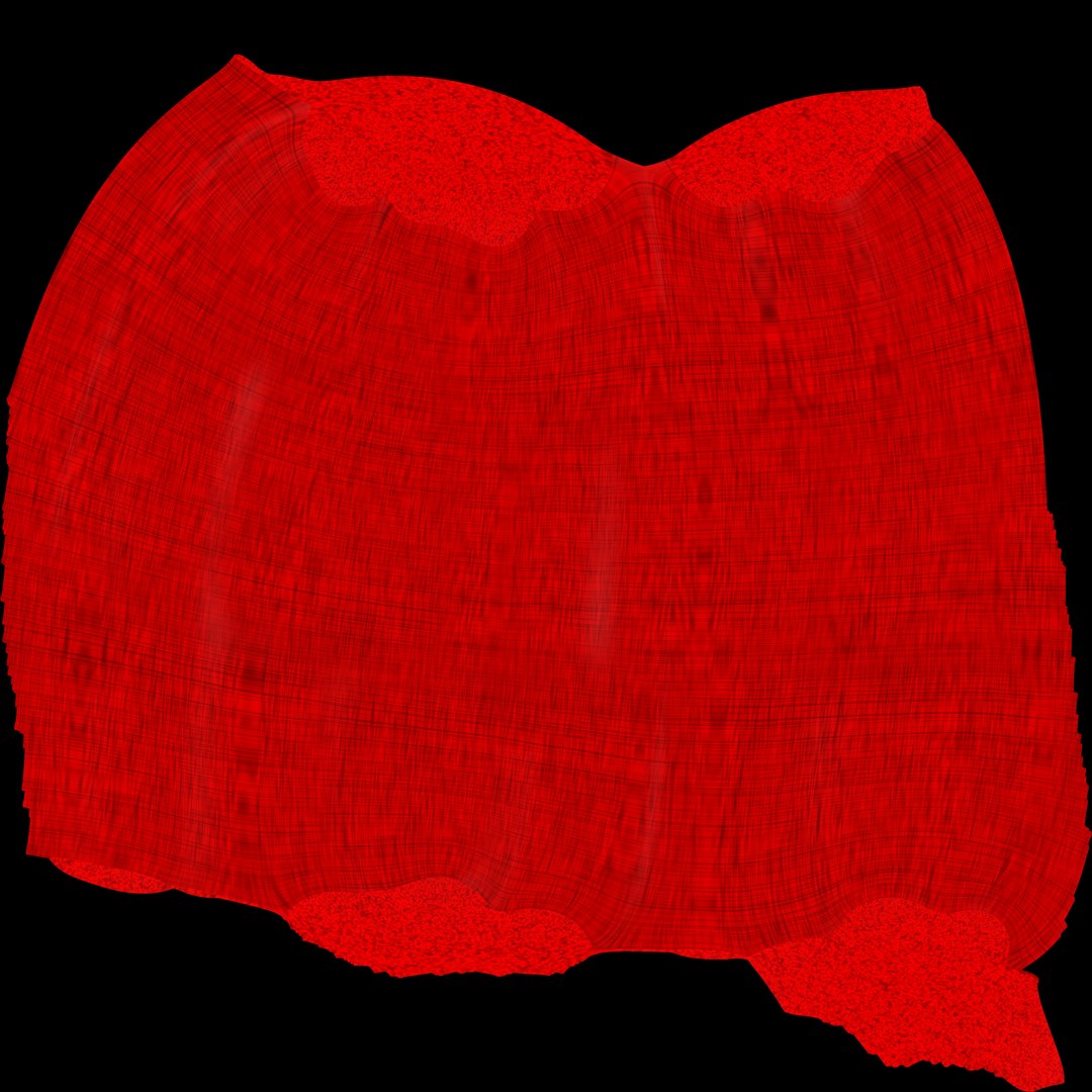 3d Model Of Human Cardiac Muscle