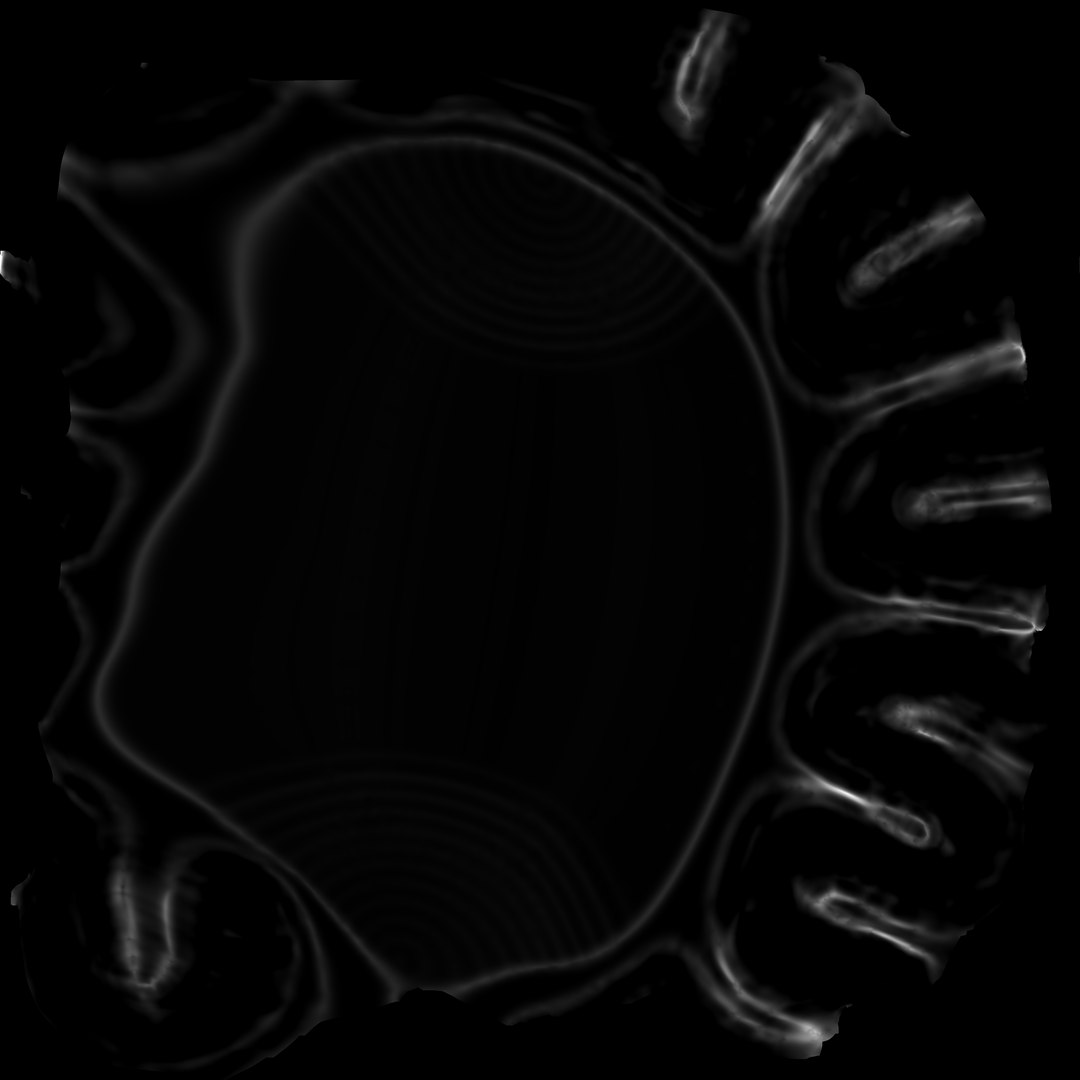 3d Model Of Human Cardiac Muscle