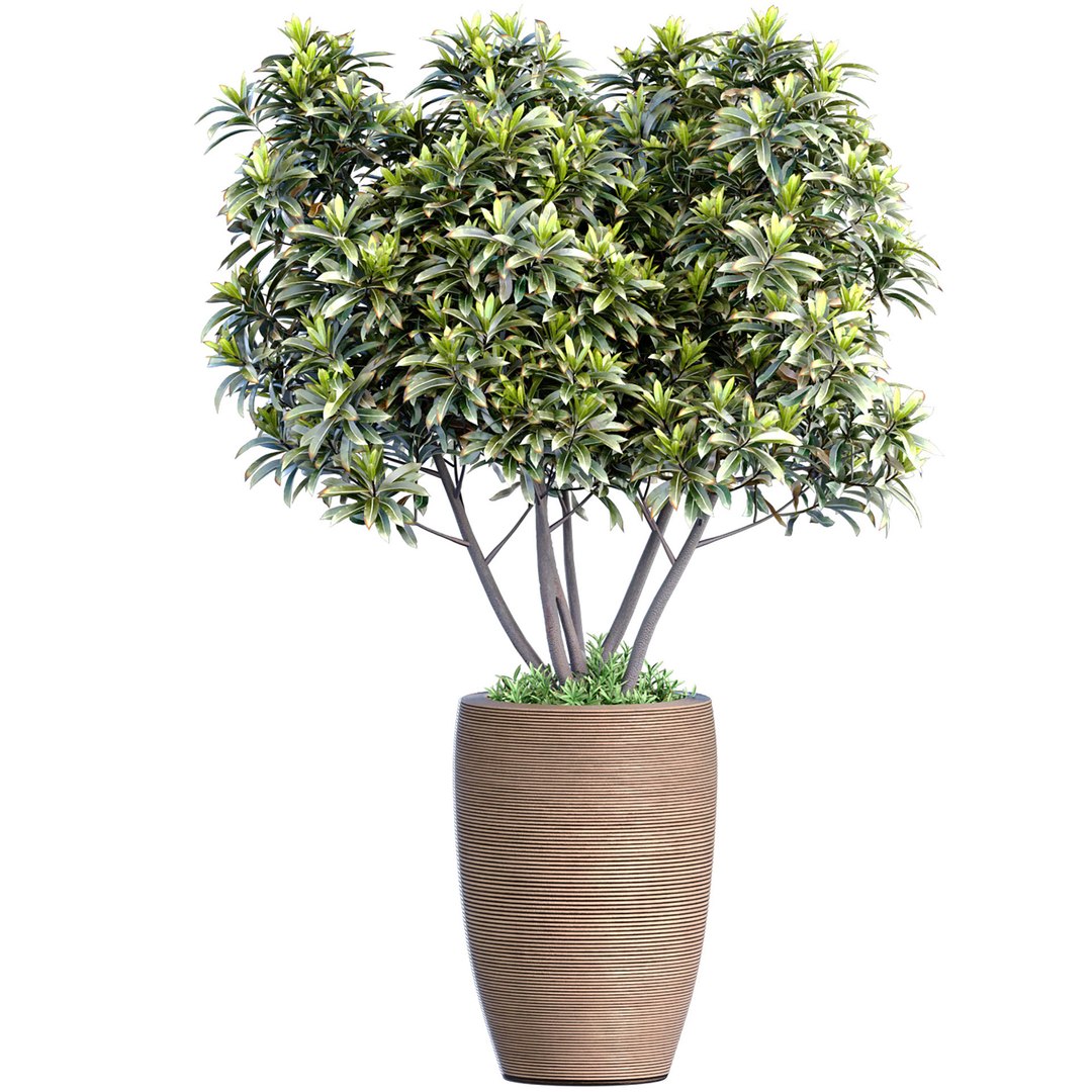 Decorative Tree Bush Shrub In A Modern High Fluted Vase Pot Vase Urn ...