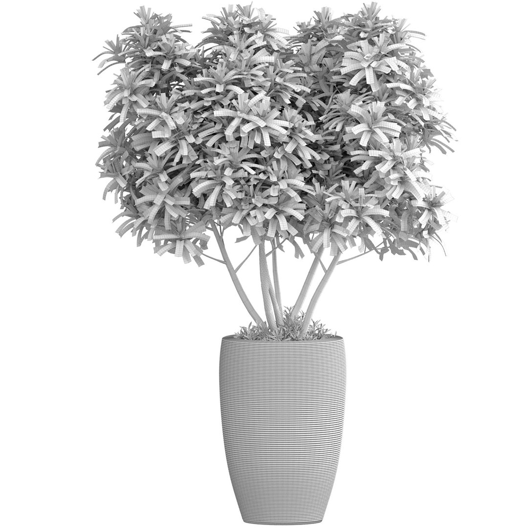 Decorative Tree Bush Shrub In A Modern High Fluted Vase Pot Vase Urn ...