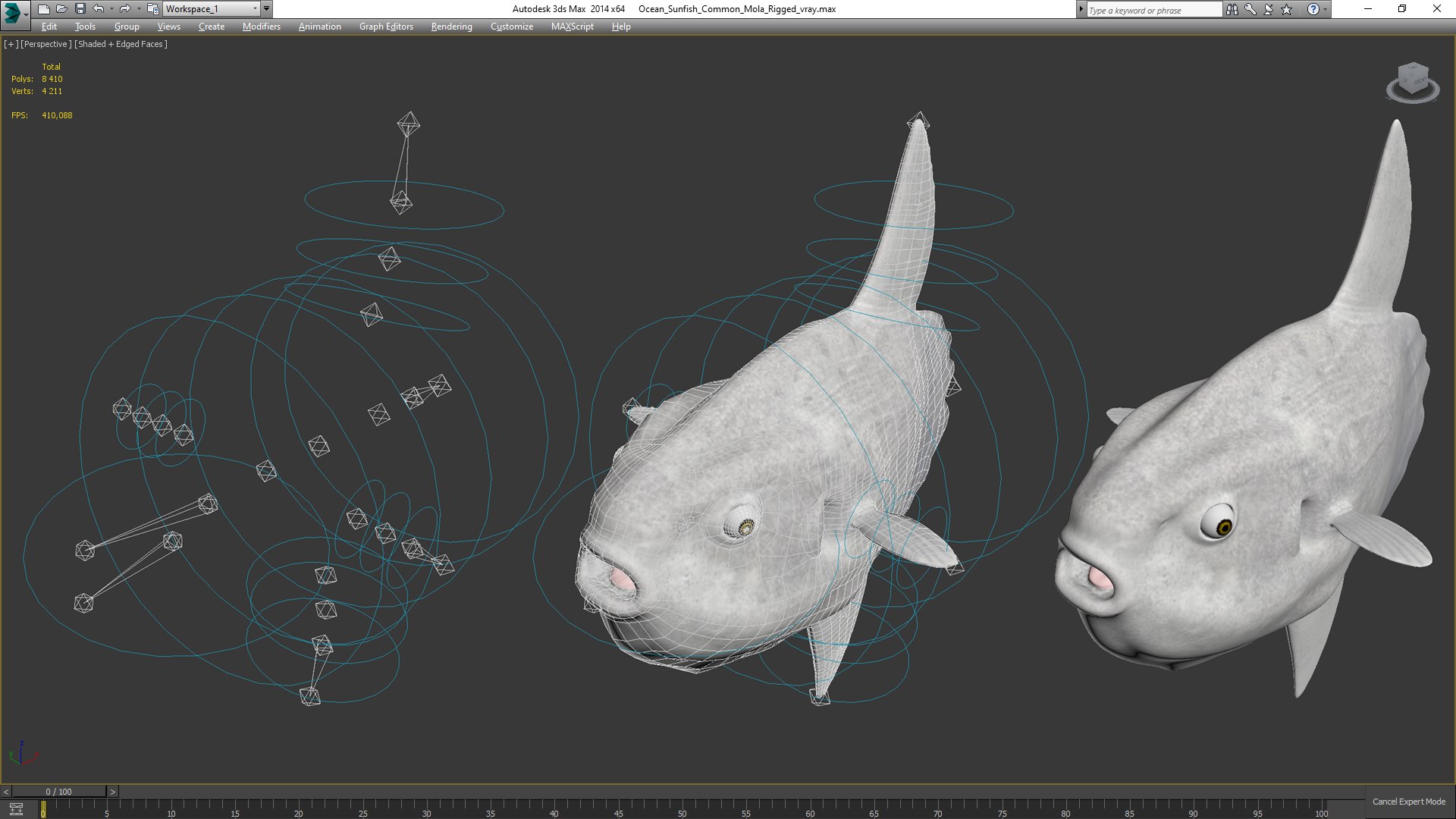 Ocean Sunfish Common Mola Rigged 3D Model - TurboSquid 1828432