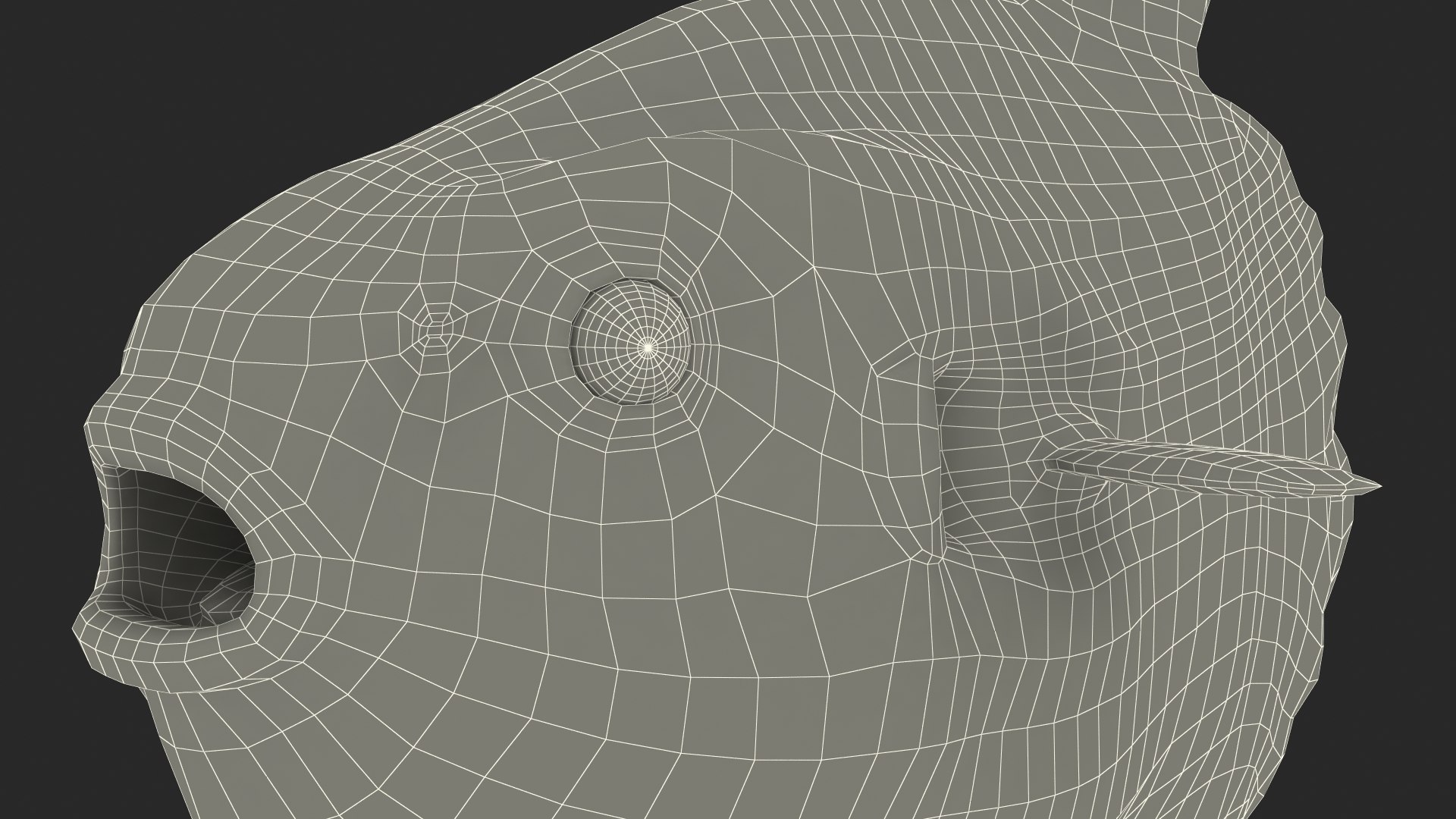 Ocean Sunfish Common Mola Rigged 3D Model - TurboSquid 1828432