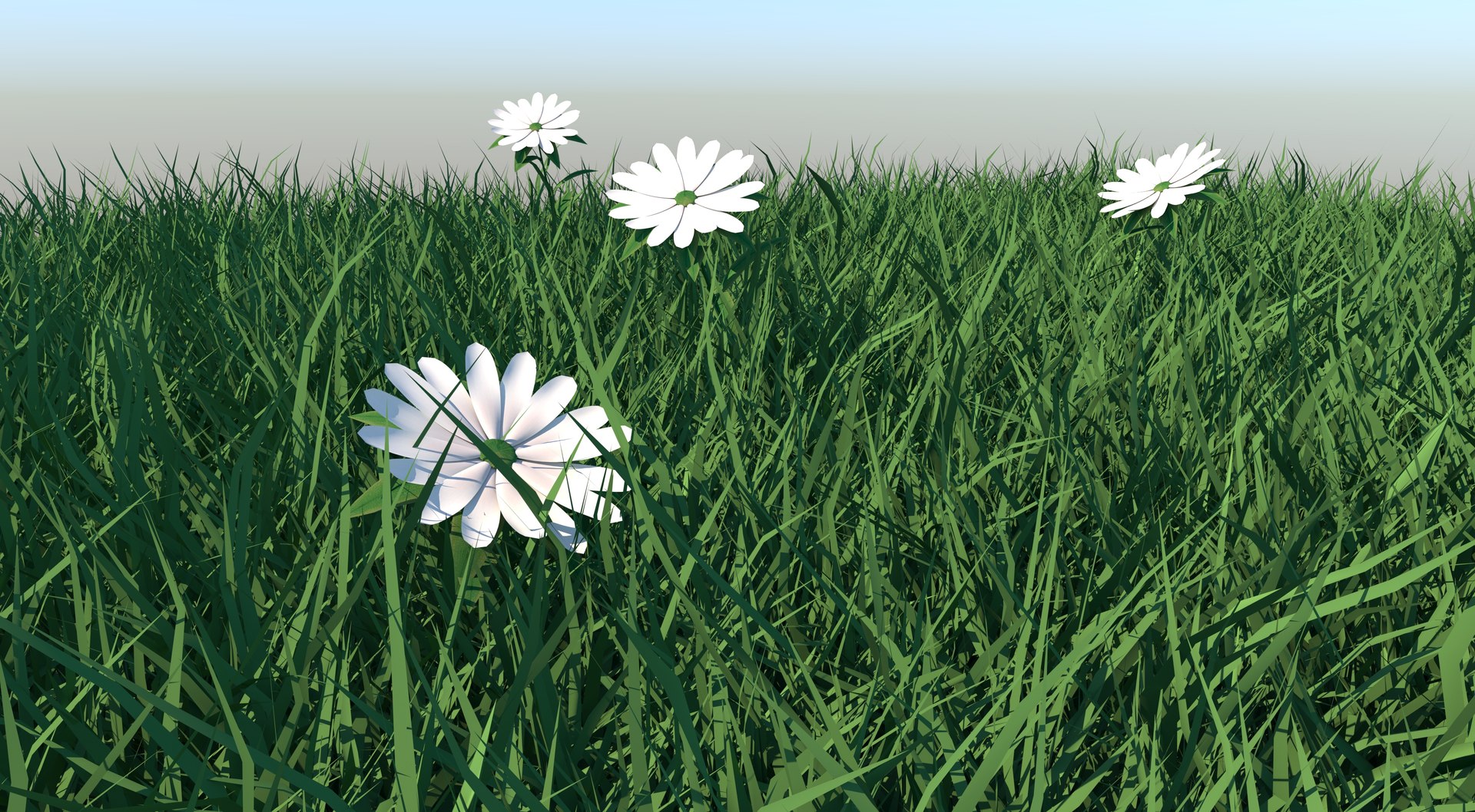 Grass 3D Model - TurboSquid 1715601