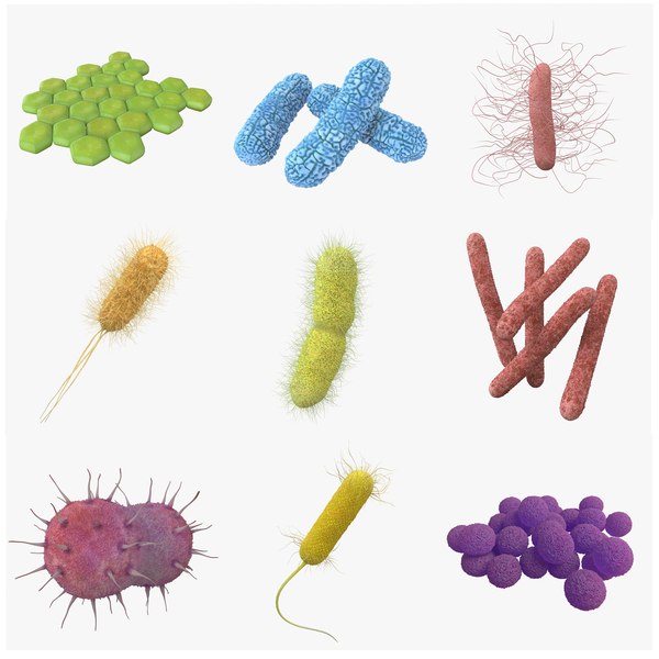 Free 3D Bacteria Models | TurboSquid
