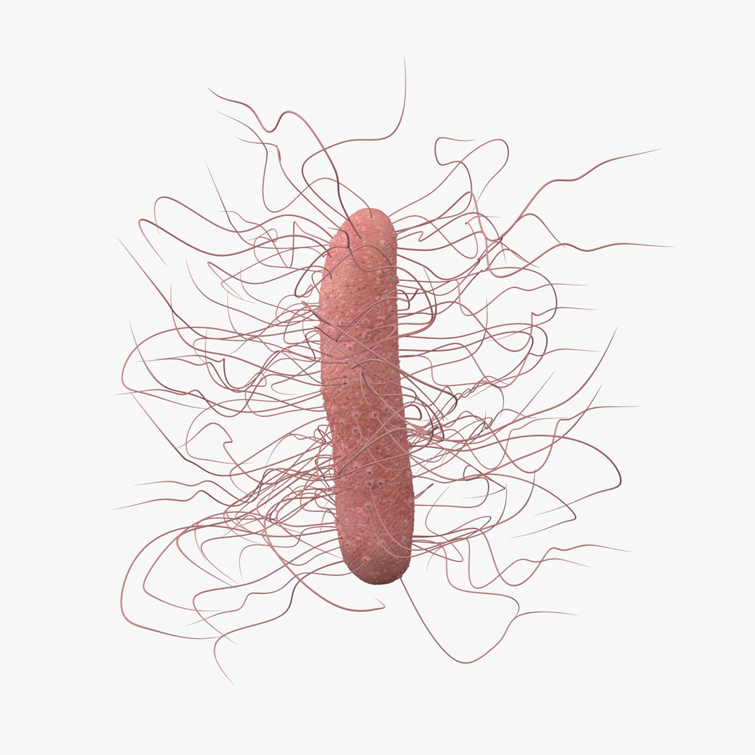 3D bacteria pack - TurboSquid 1304068