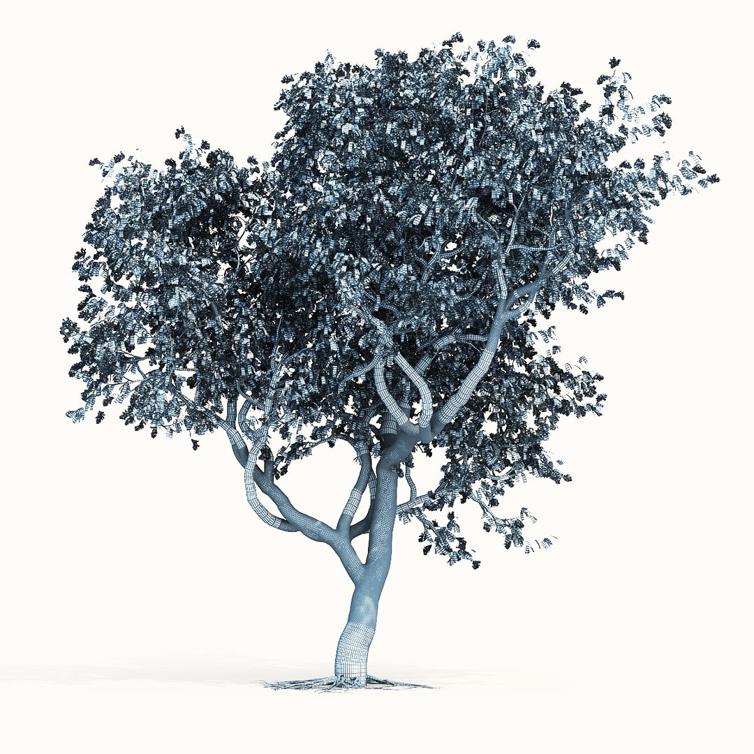 3d Max 2 Tree