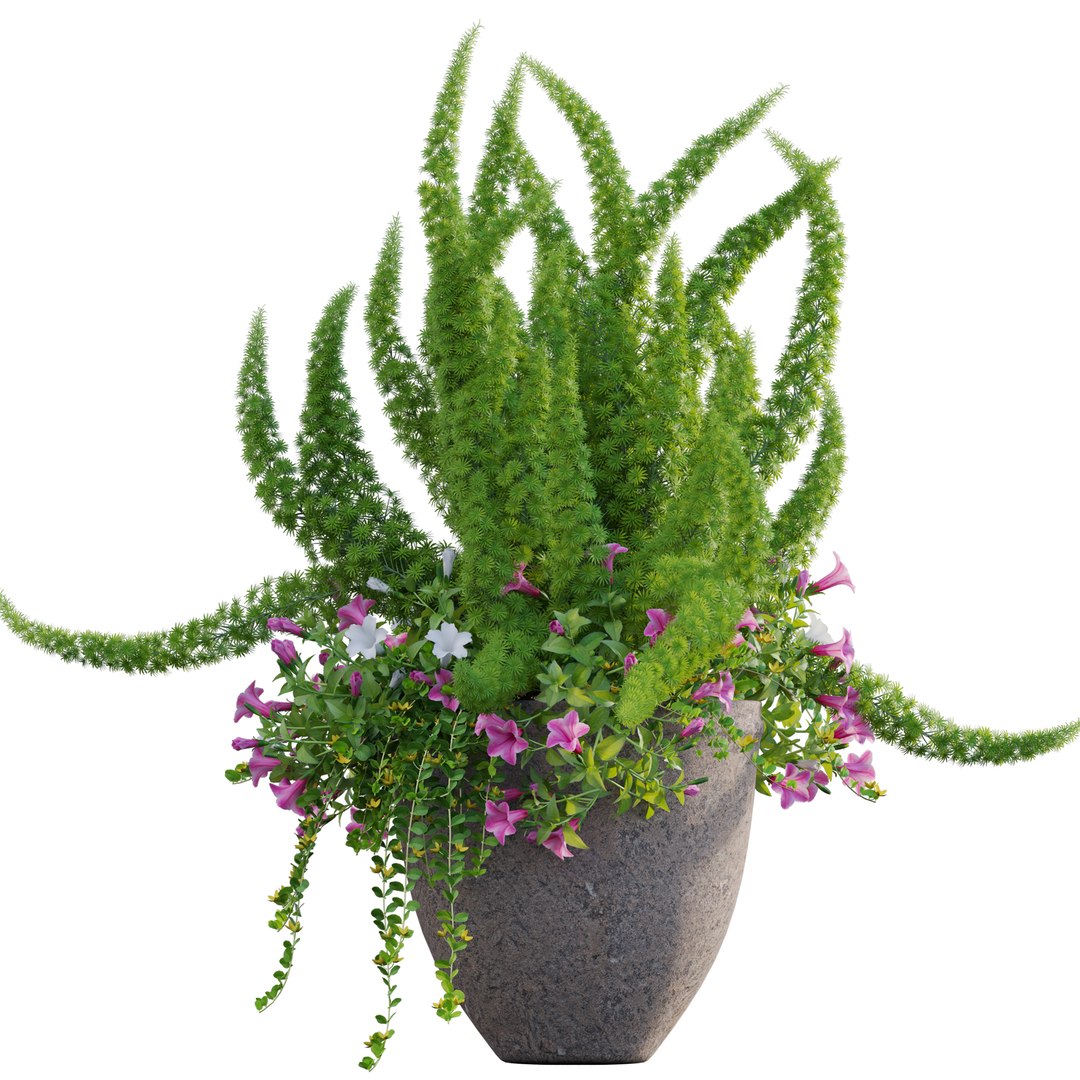 3D Model Pot Plant 01 - TurboSquid 2330026