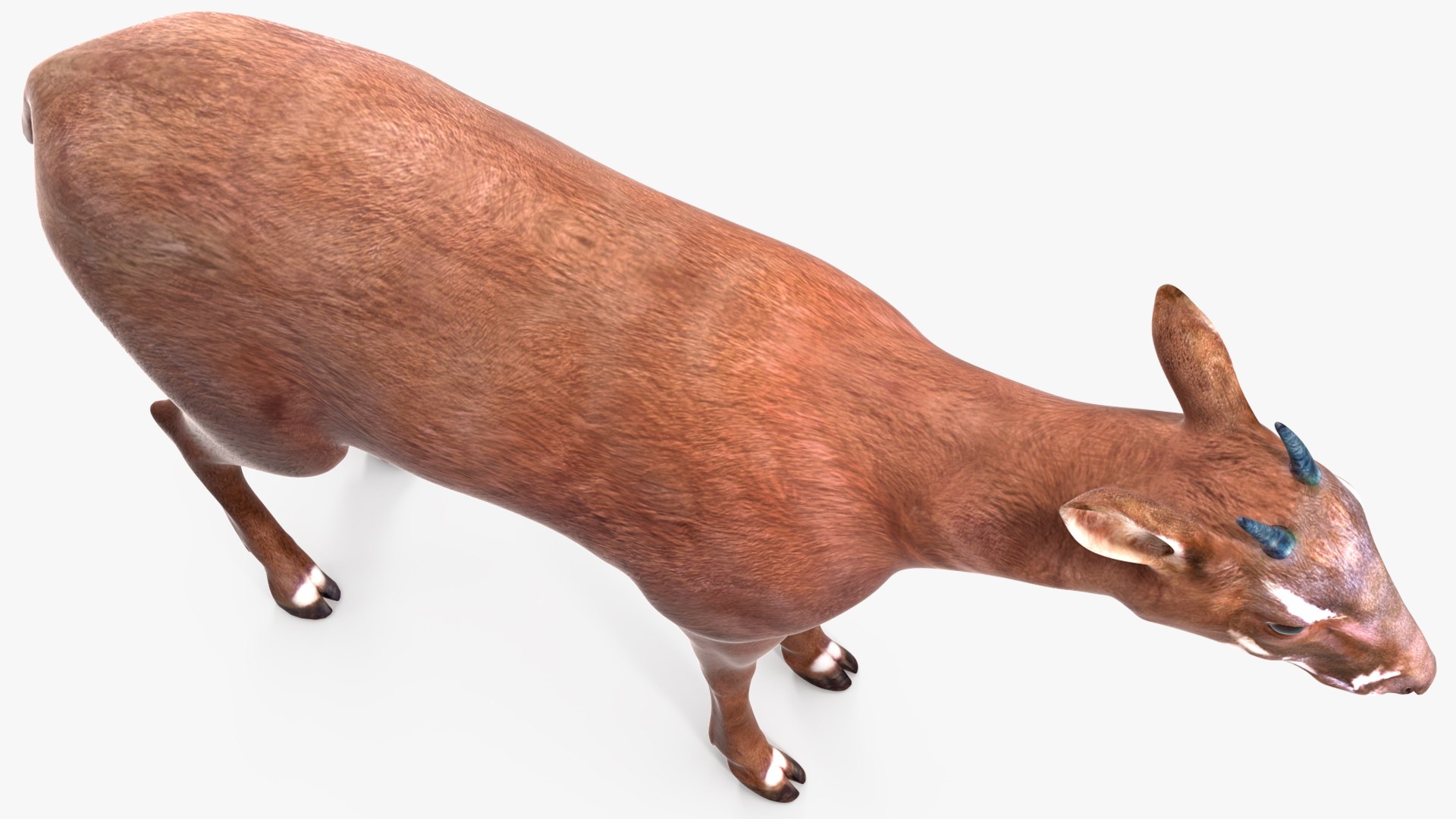 Saola Standart Pose 3D Model - TurboSquid 2202809