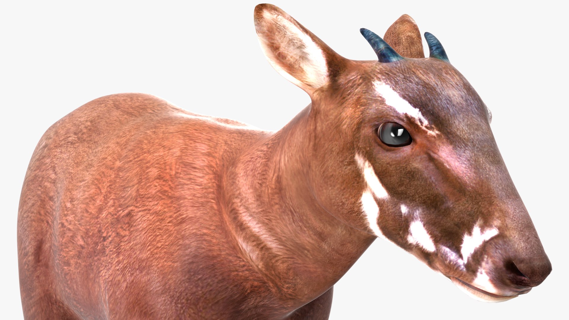 Saola Standart Pose 3D Model - TurboSquid 2202809