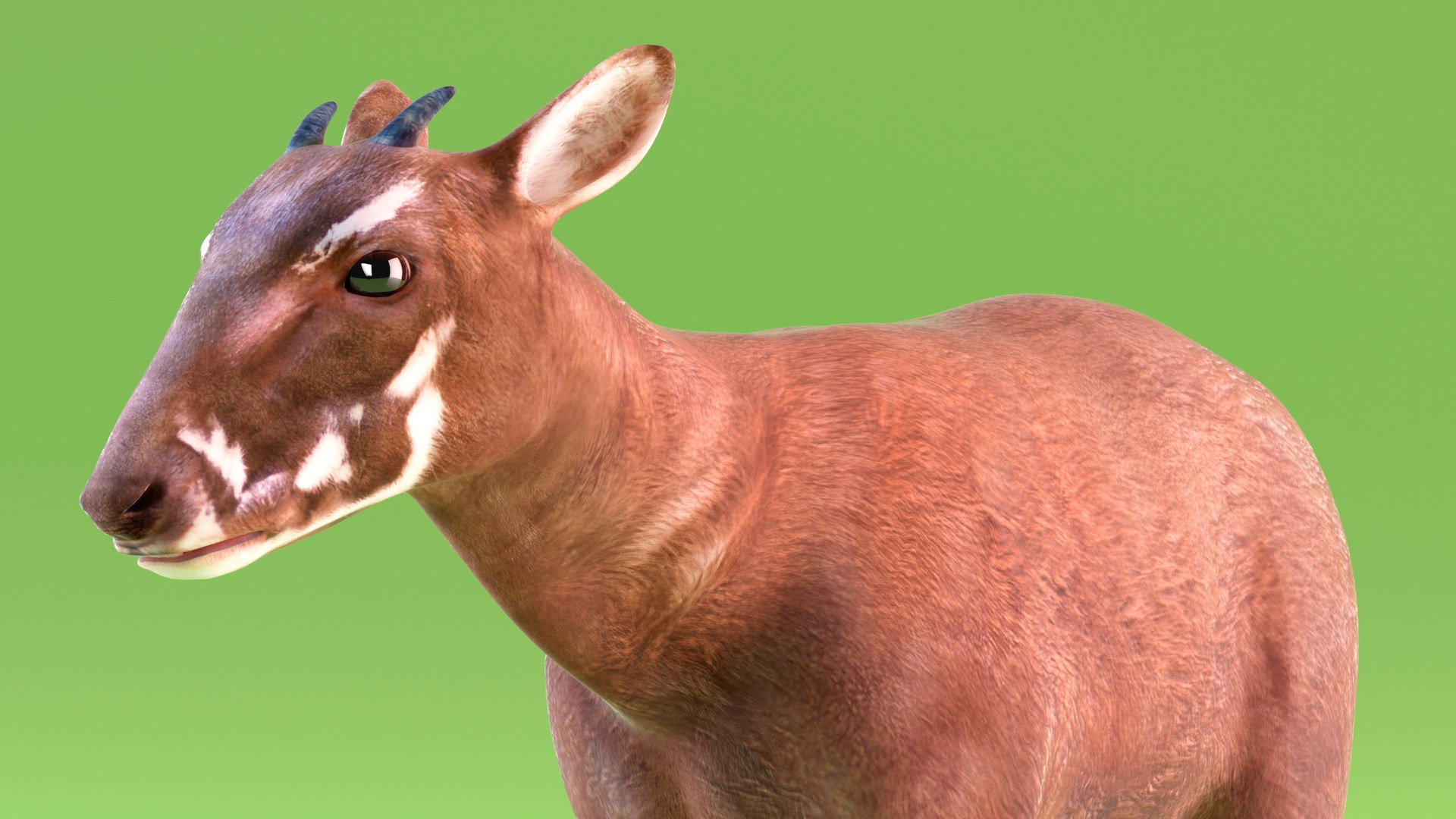 Saola Standart Pose 3D Model - TurboSquid 2202809