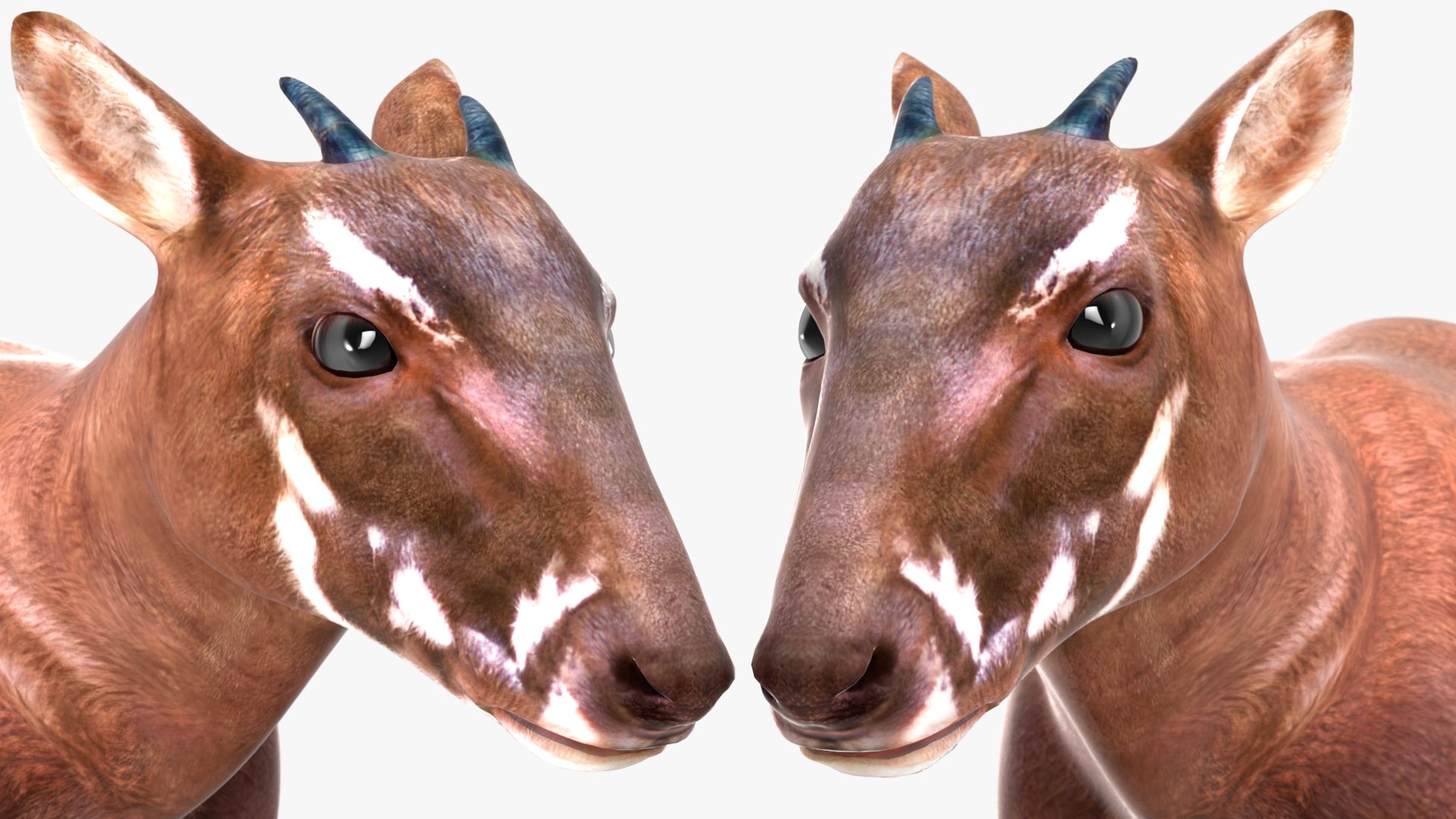 Saola Standart Pose 3D Model - TurboSquid 2202809