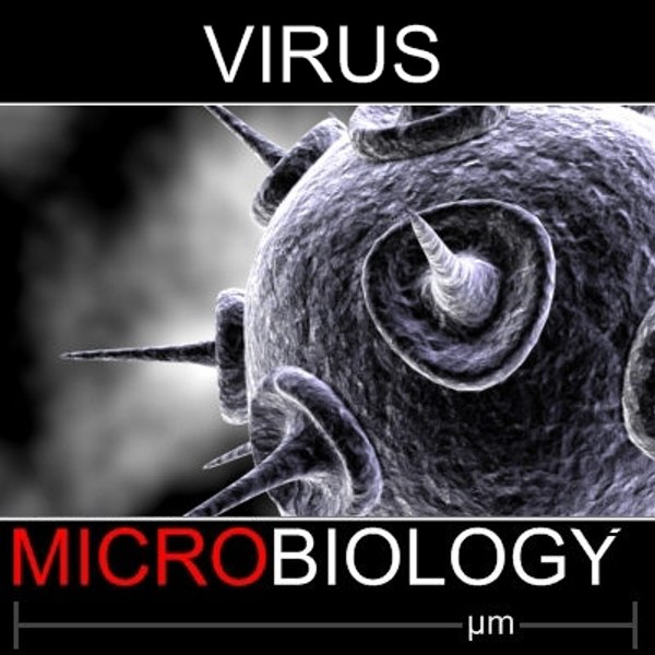 virus science 3d model