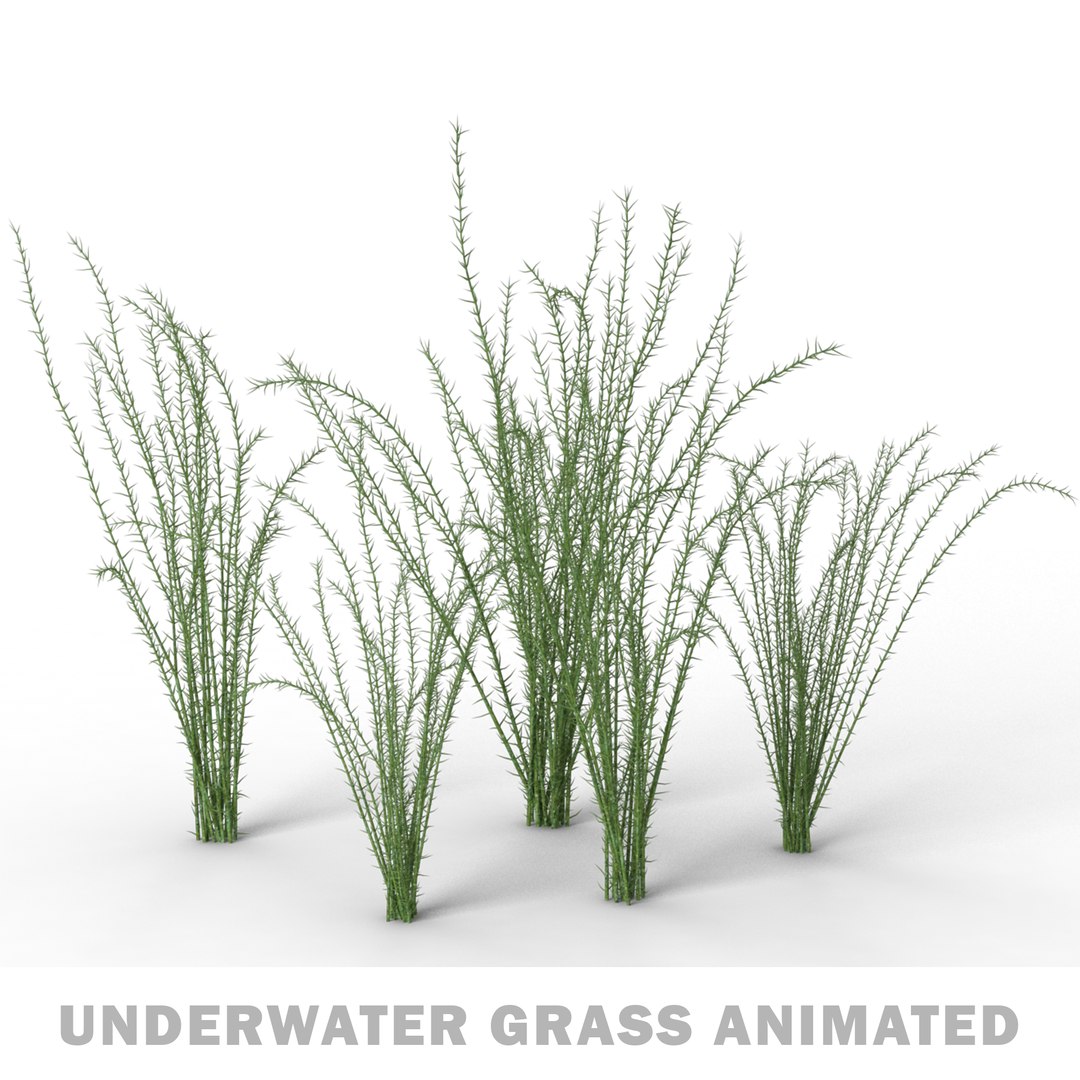 3D Underwater Grass Animated Model - TurboSquid 2111837