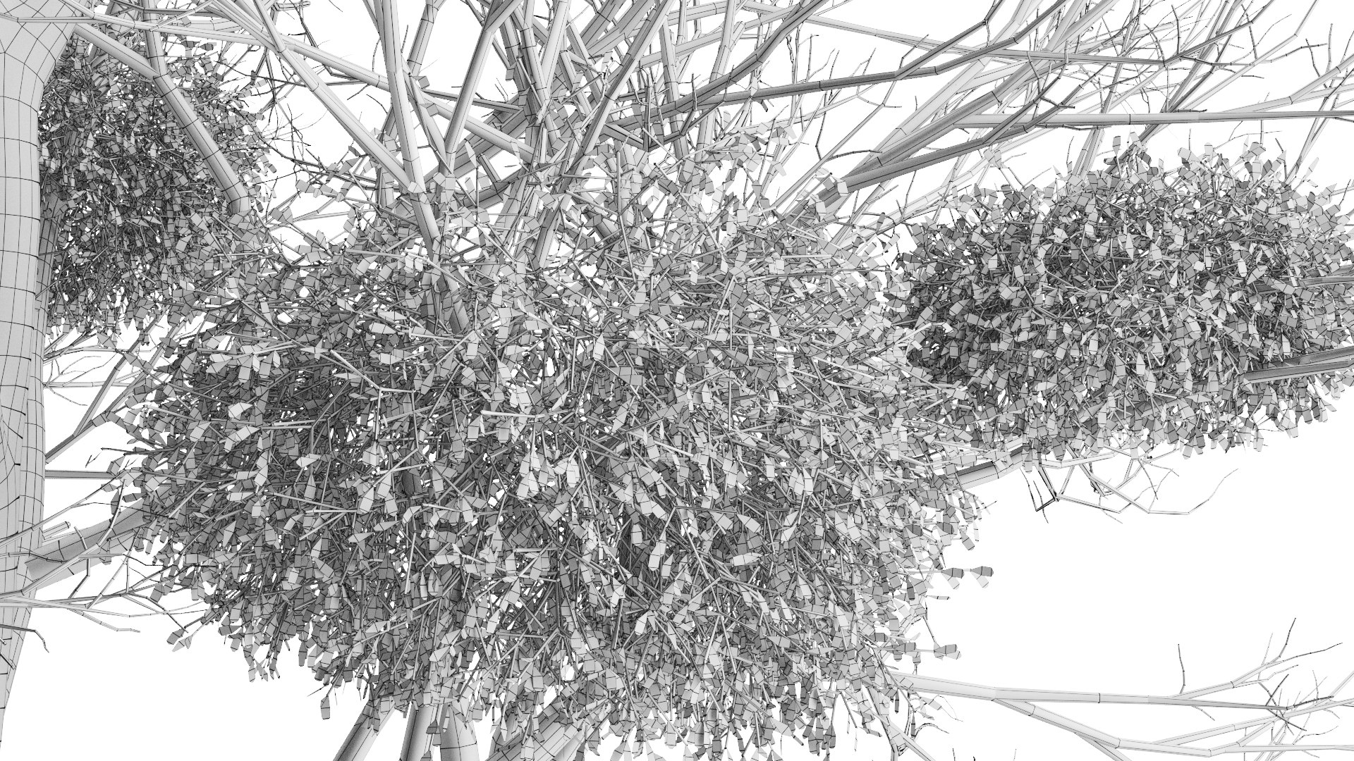 3D Tree With Mistletoe Model - TurboSquid 1724160