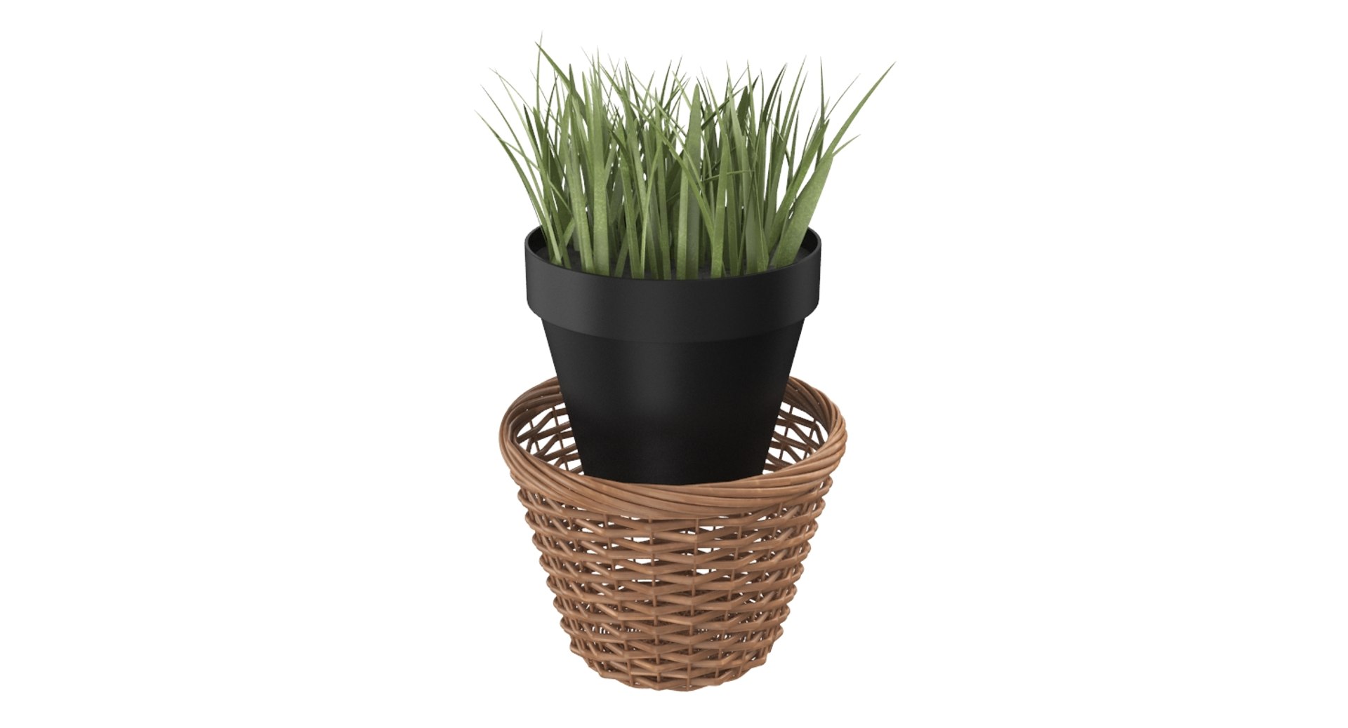 Real Pot Plant Model - TurboSquid 1386336