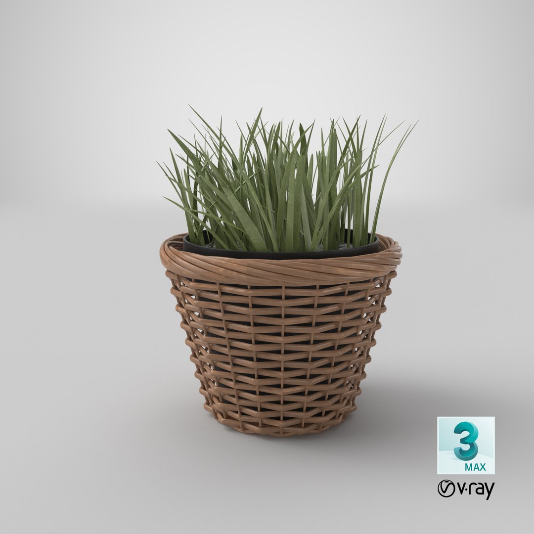 Real Pot Plant Model - TurboSquid 1386336