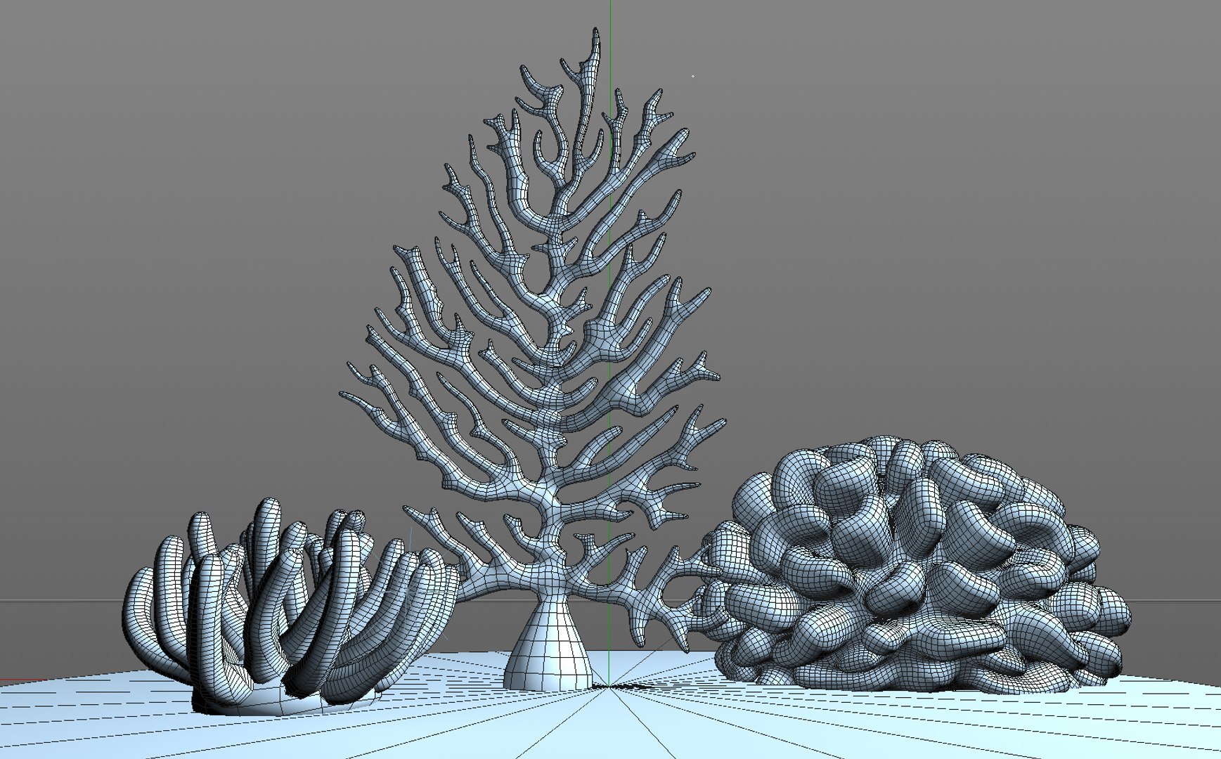 3d ocean coral anemone model