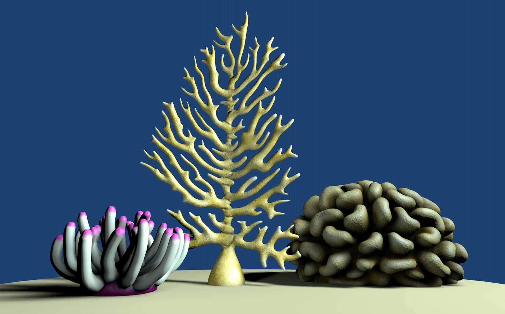 3d ocean coral anemone model