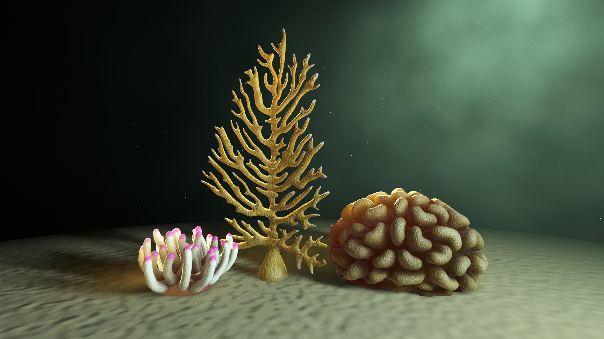 3d ocean coral anemone model