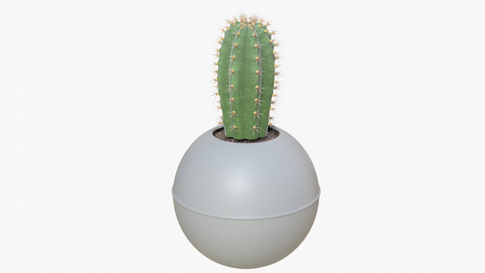 3D Model Cactus 04 D - TurboSquid 1987466